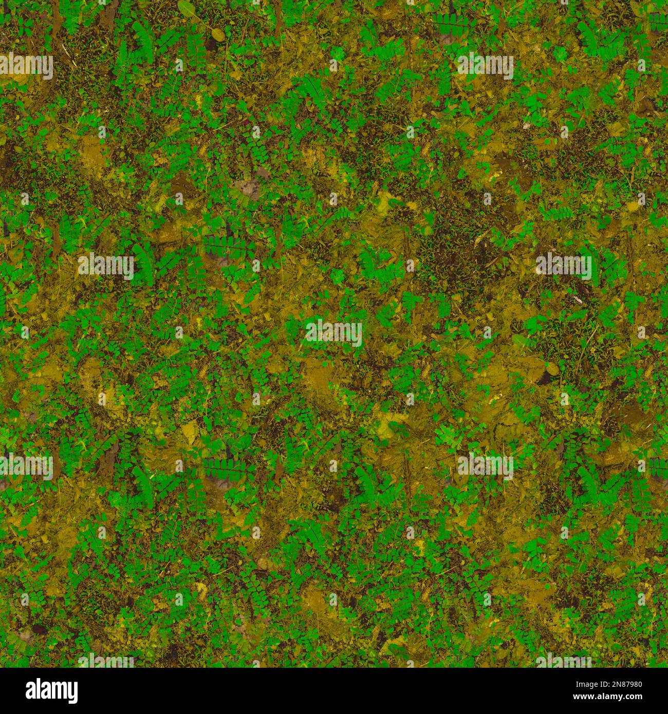 Grass seamless texture immagini e fotografie stock ad alta risoluzione ...