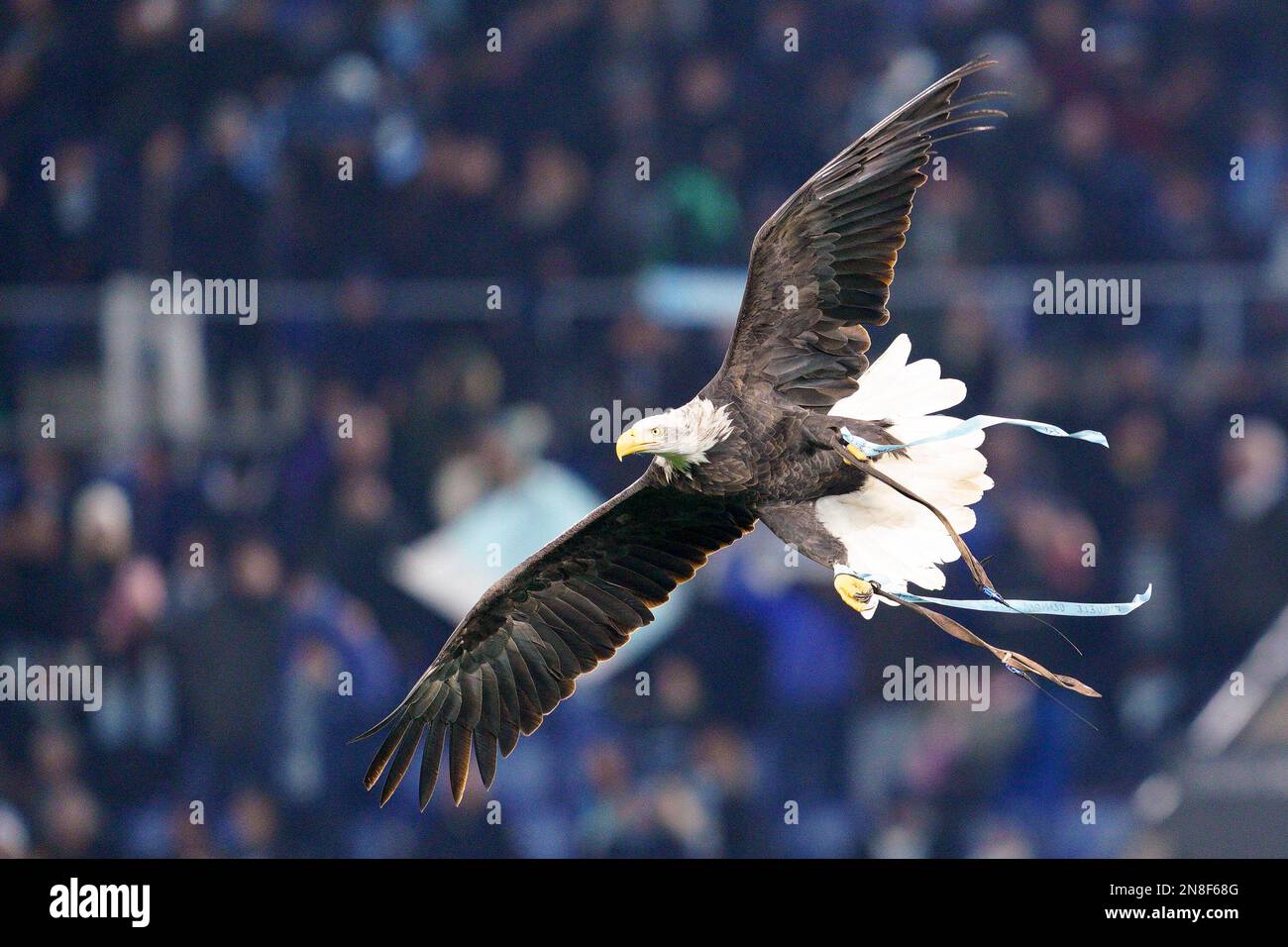 The eagle olimpia immagini e fotografie stock ad alta risoluzione - Alamy