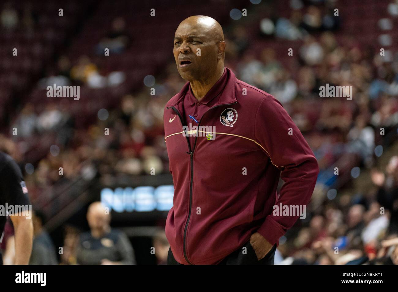 TALLAHASSEE, FL - FEBRUARY 08: Florida State Seminoles head coach ...