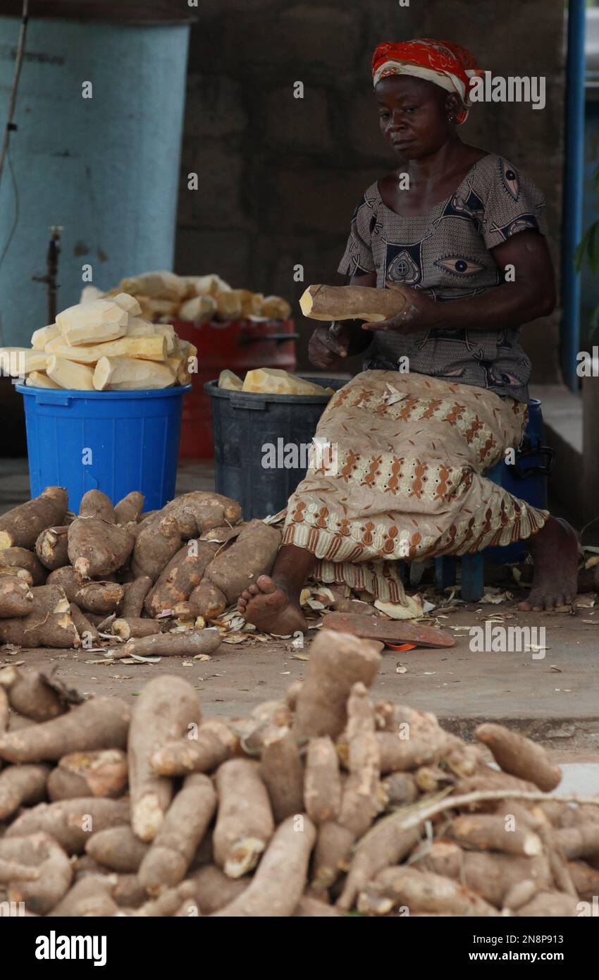 In this photo taken Tuesday, Oct. 2, 2012. A woman peels cassava at the ...