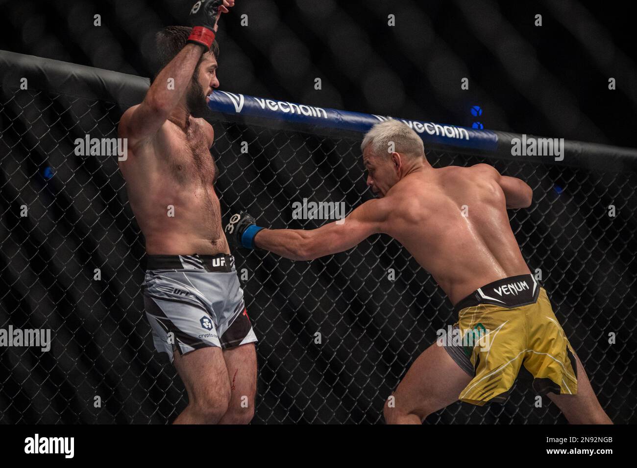 Zubaira tukhugov immagini e fotografie stock ad alta risoluzione - Alamy