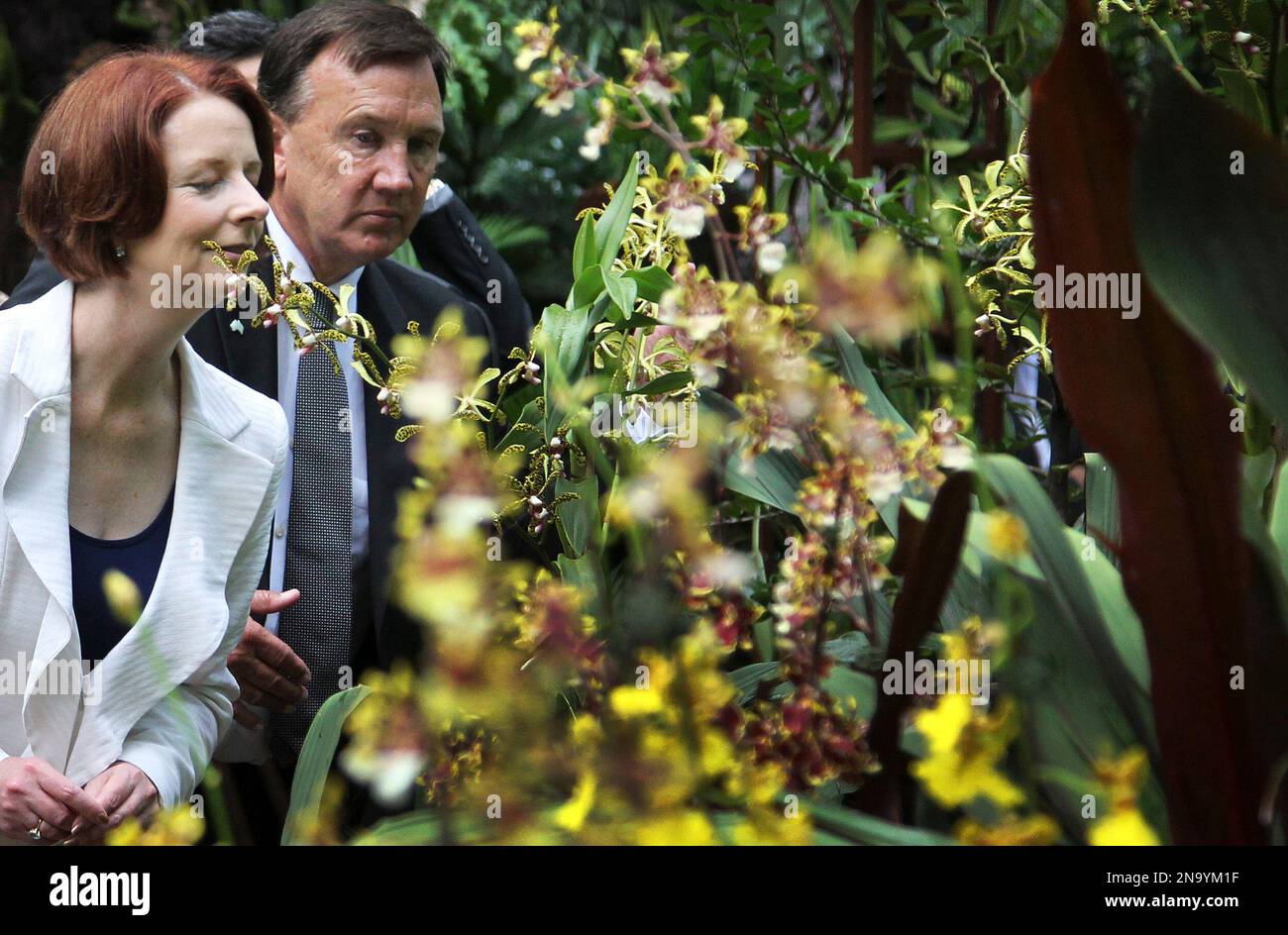 Australian Prime Minister Julia Gillard takes a sniff at Orchid flowers ...