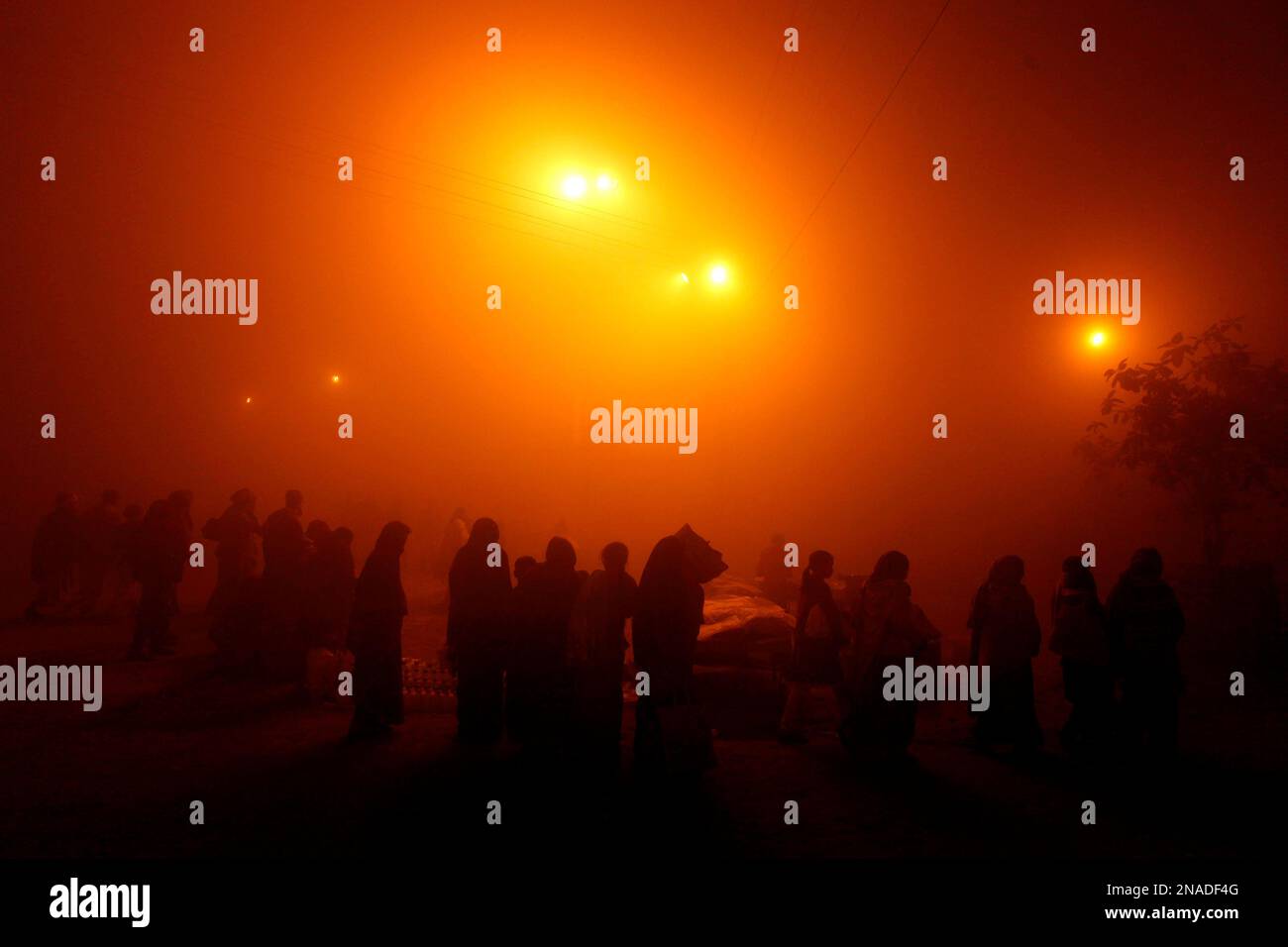 Hindu devotees arrive at Sangam amidst morning fog to offer prayers on ...
