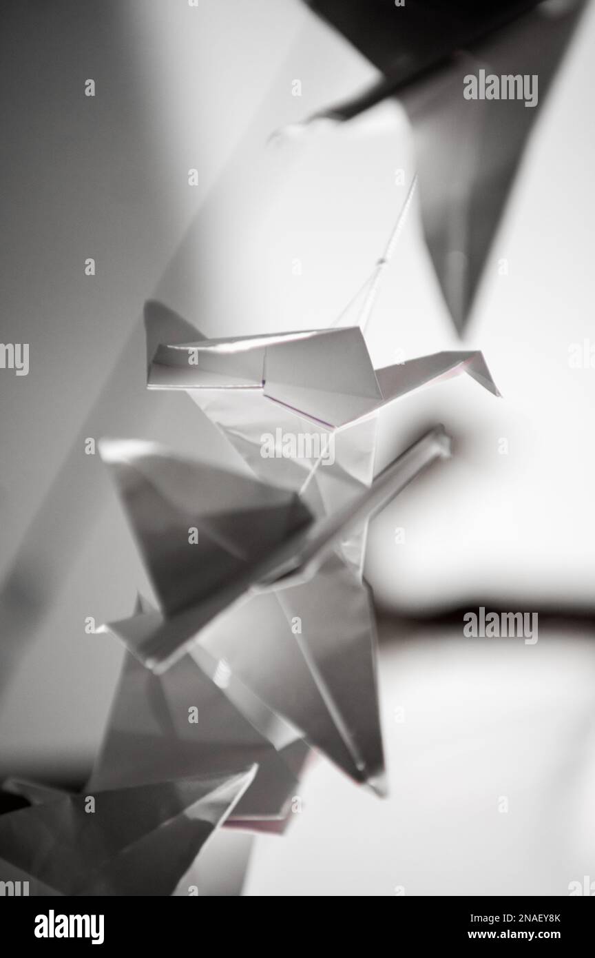 1000 gru di carta immagini e fotografie stock ad alta risoluzione - Alamy