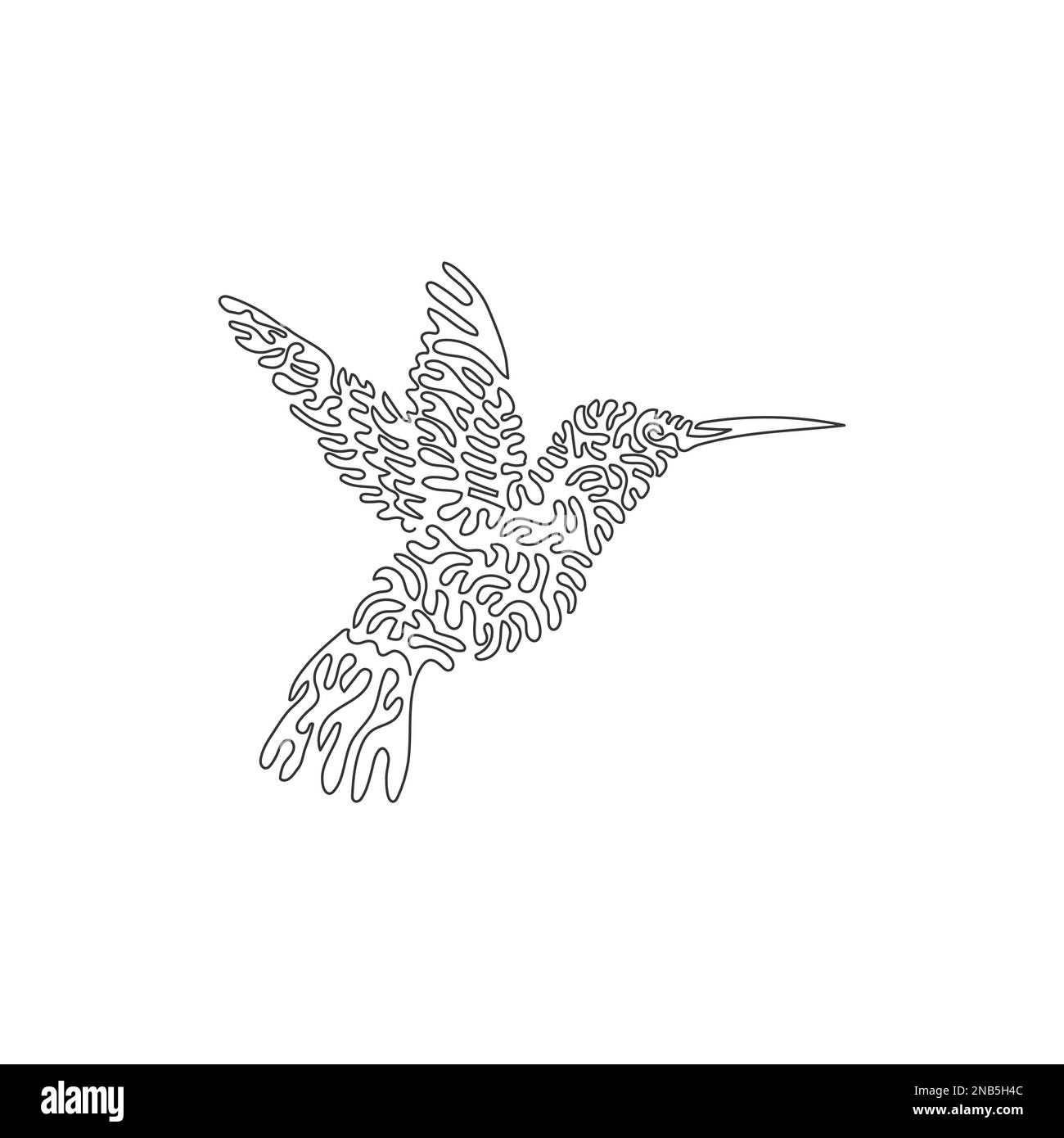 Un solo disegno di linea ricurvi. I colibrì hanno bollette corte e ...