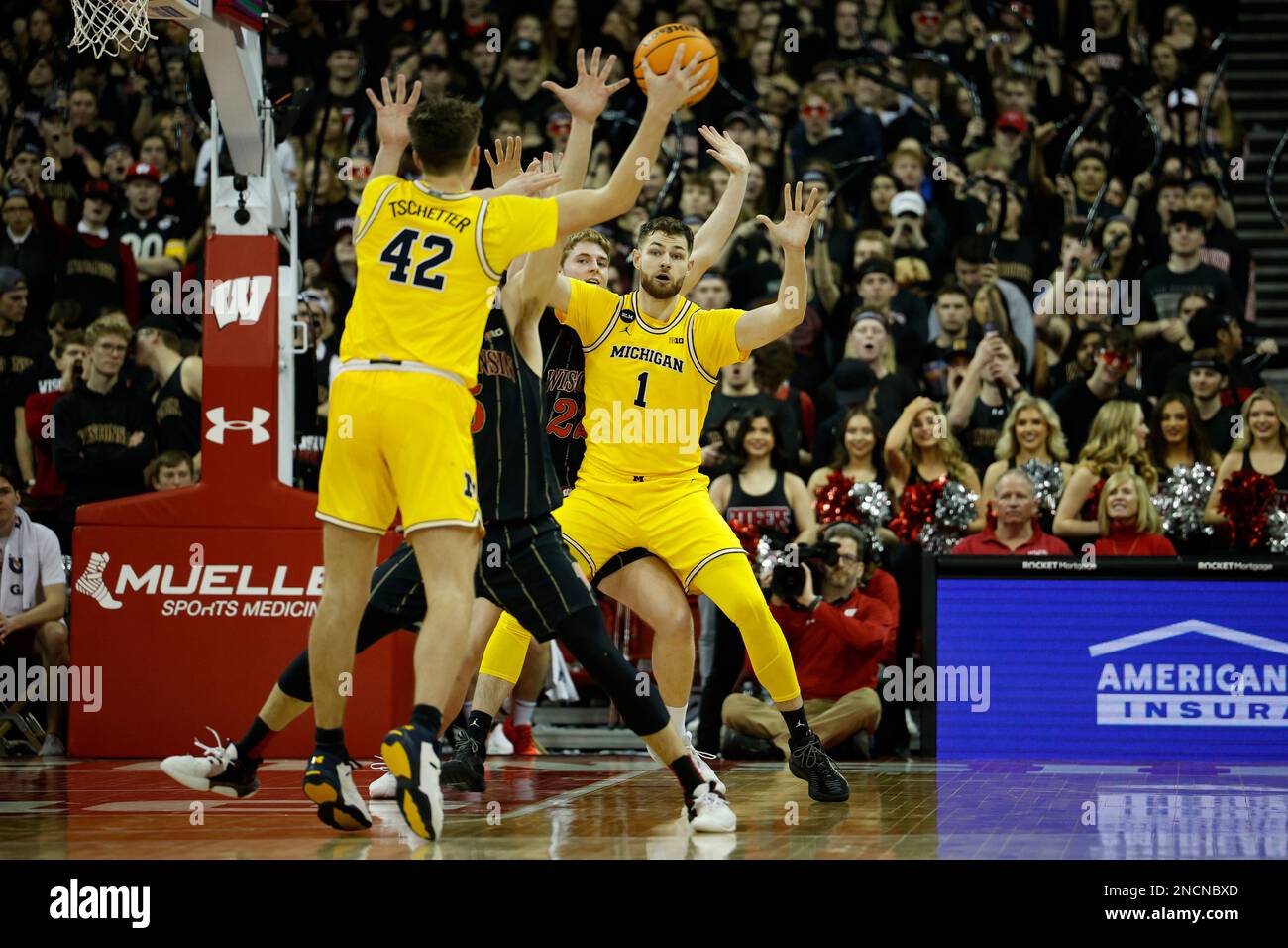 14 febbraio 2023: Il centro di Michigan Wolverines Hunter Dickinson (1 ...