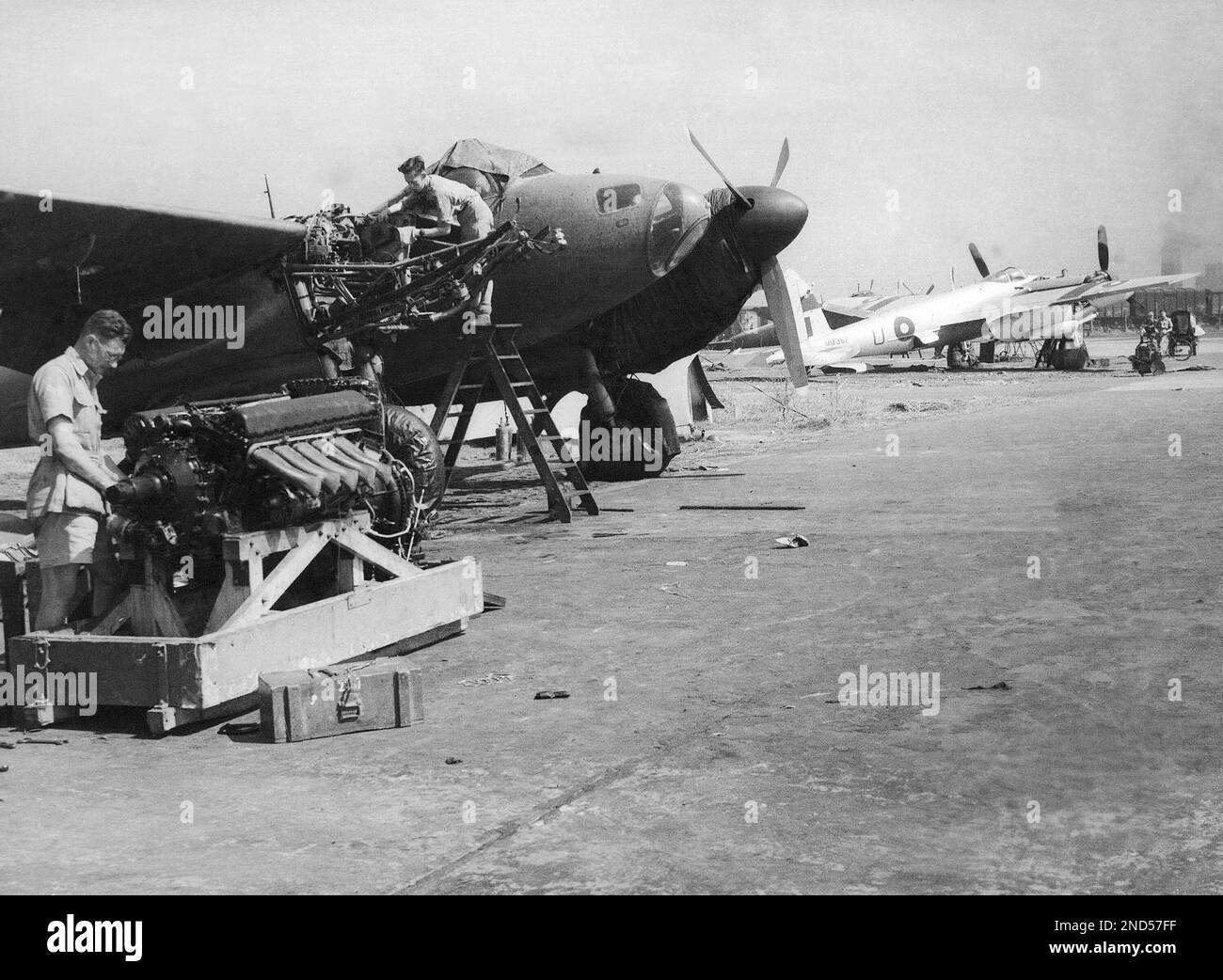 Mosquito Mark XVI Photographic Reconnaissance aircraft, made in England ...