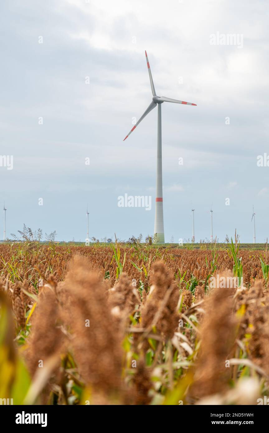 Parco eolico con grande turbina eolica moderna con campo agricolo di ...