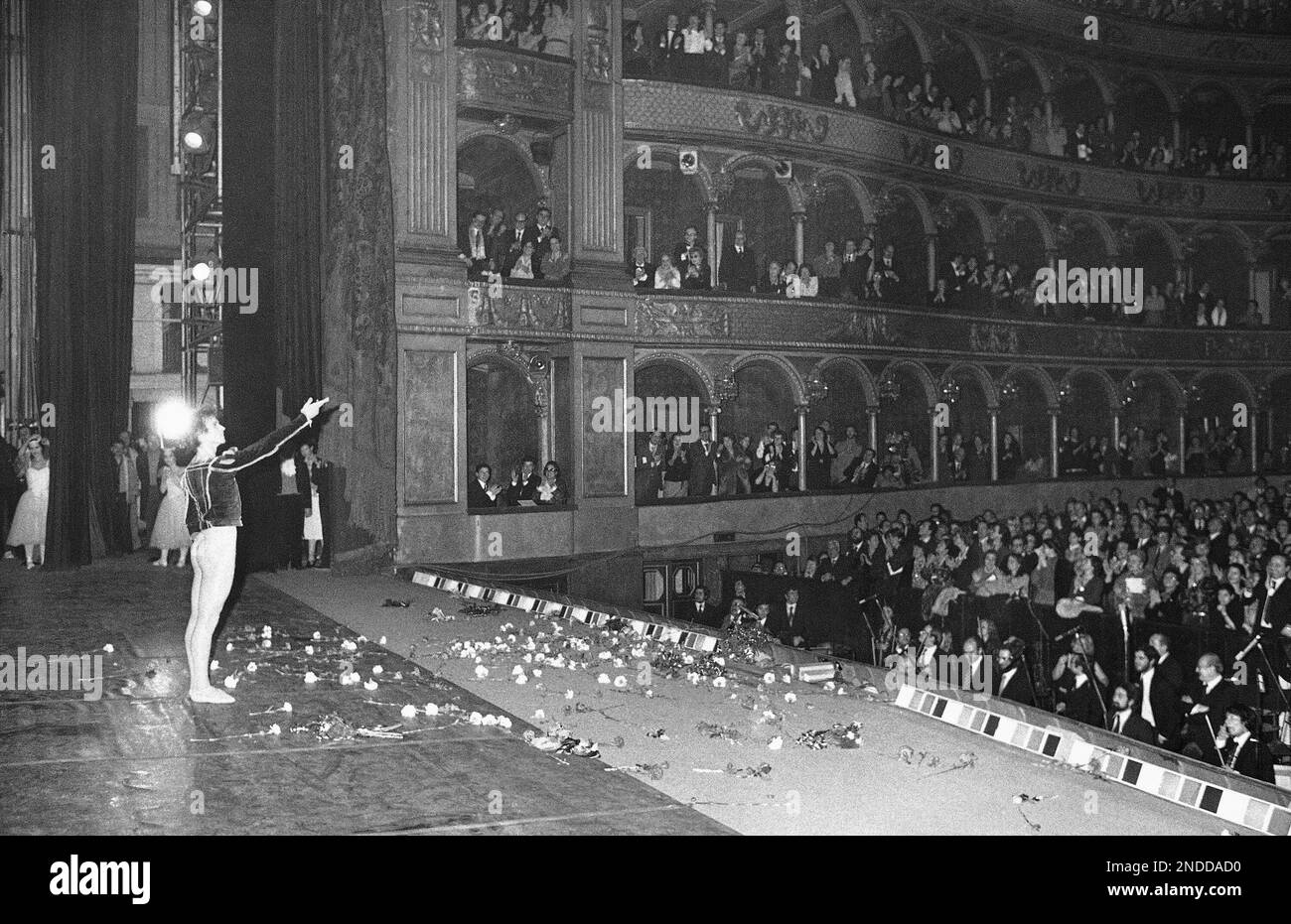 Rudolf Nureyev waves to acknowledge cheers from flower-throwing ...