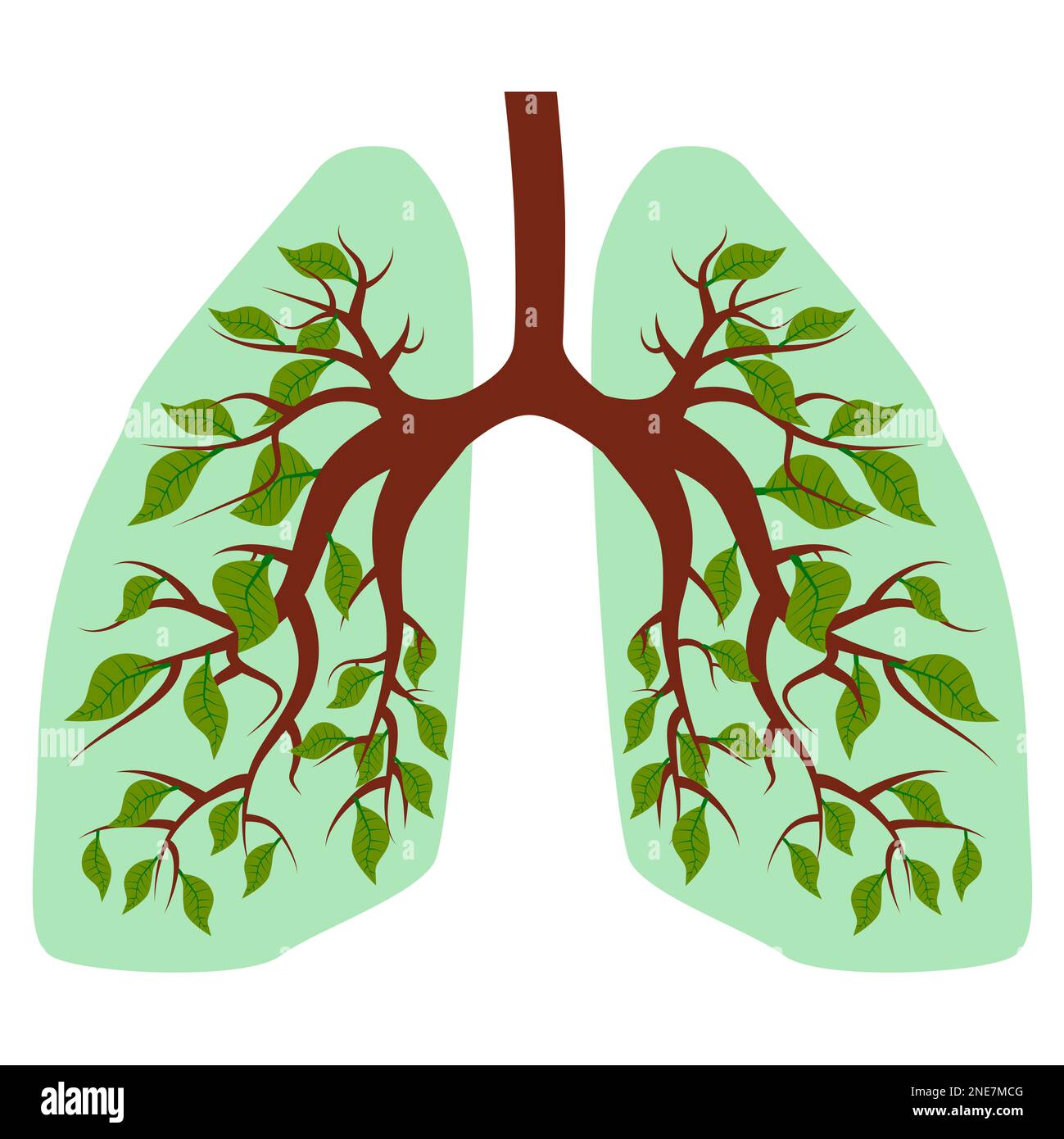 Polmoni verdi puliti, simbolo di uno stile di vita sano e aria pulita ...