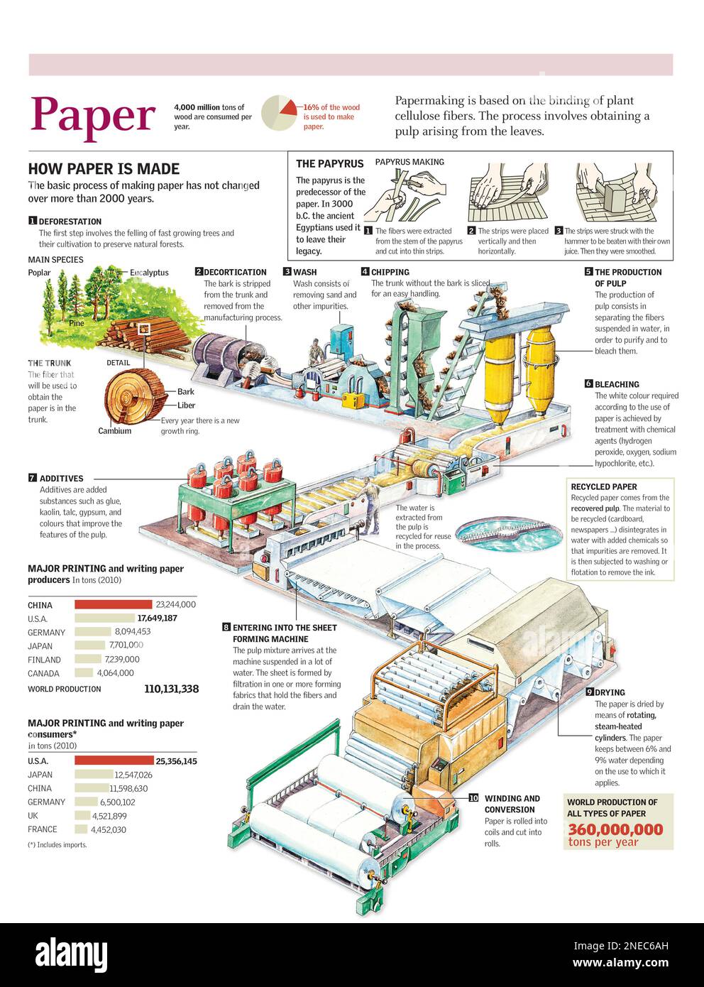 Infografiche del processo di produzione della carta dal legno e dati di ... Infografiche del processo di produzione della carta dal legno e dati di ...