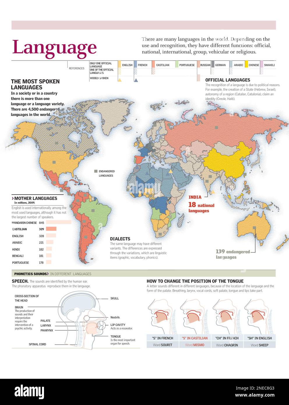 Mappa Mondiale Delle Lingue Più Parlate Nel Mondo E Infografica Della