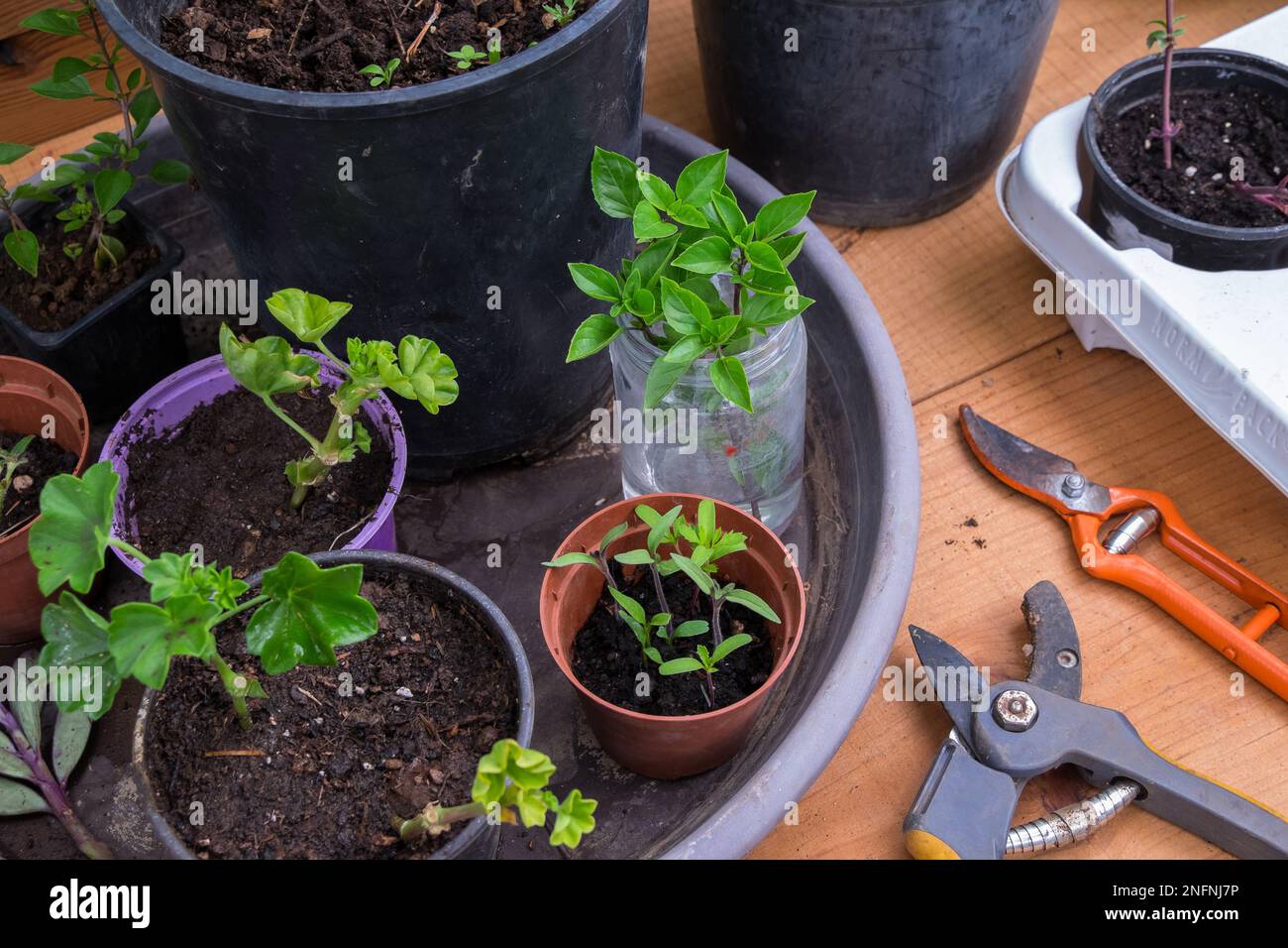 Schöne herbstfarben immagini e fotografie stock ad alta risoluzione - Alamy