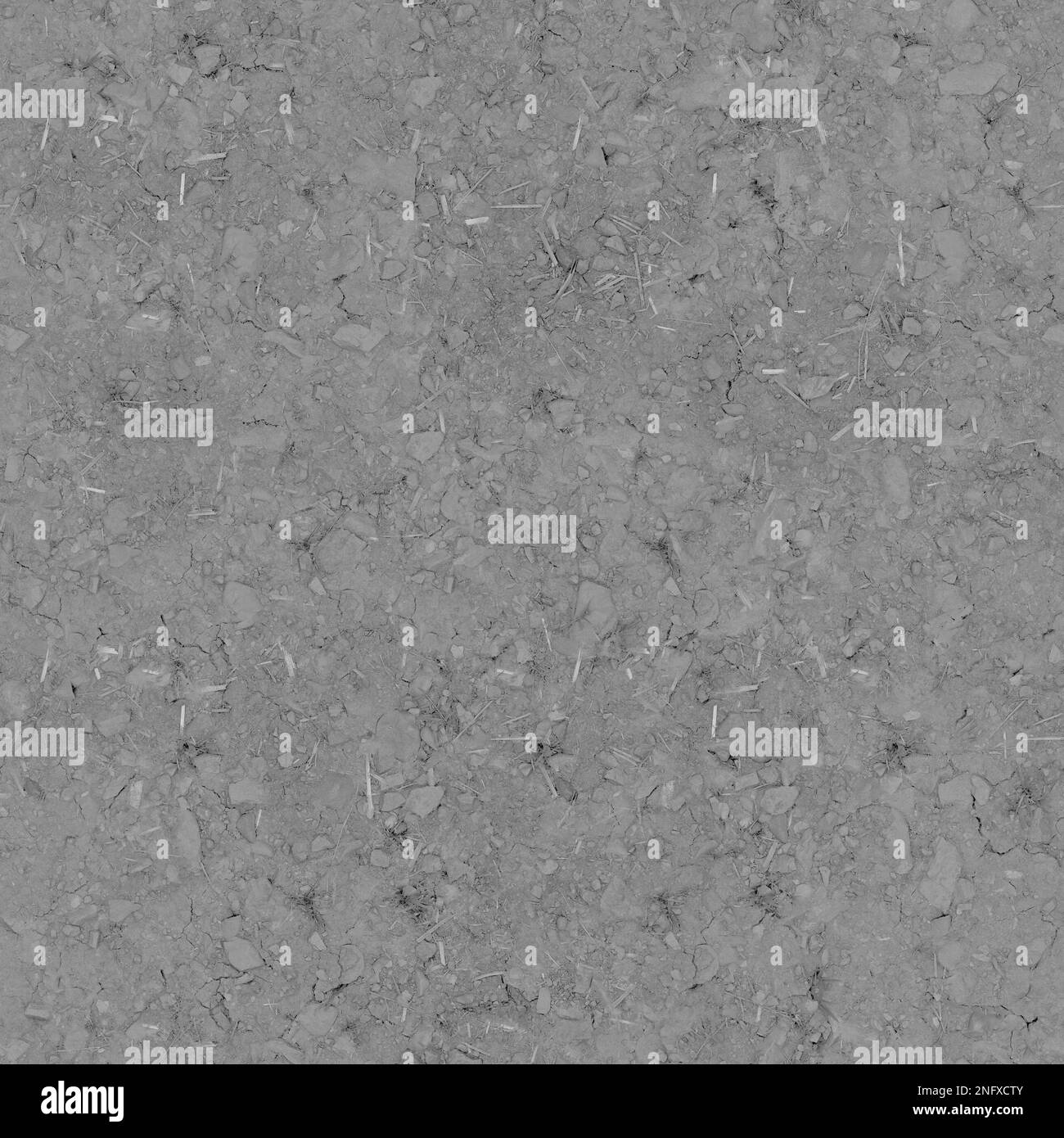 Mappatura delle texture normale Foto e Immagini Stock in Bianco e Nero - Alamy