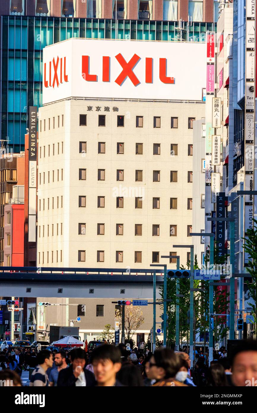 Tokyo, Ginza. La galleria Lixil Ginza edificio di mattoni bianchi catturati in condizioni di ...