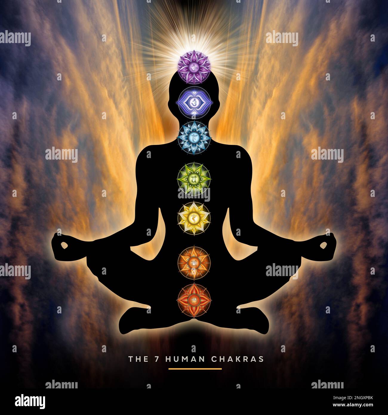 Silhouette umana in posa yoga / loto con 7 simboli Chakras e Fiore della vita. (Corpo di energia ...