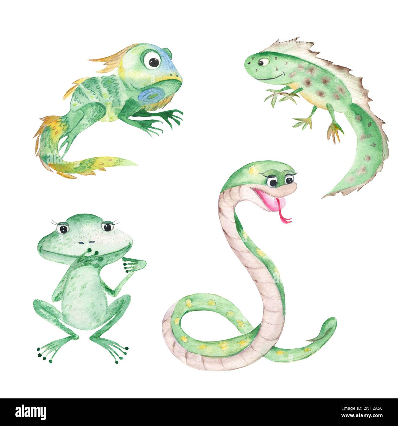 Axolotl disegnato carino immagini e fotografie stock ad alta ...