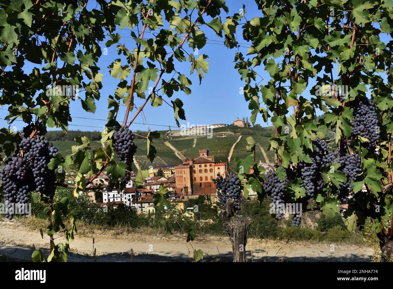 Barolo, Italia, italiano, ( Barolo è un vino rosso italiano piemontese ...