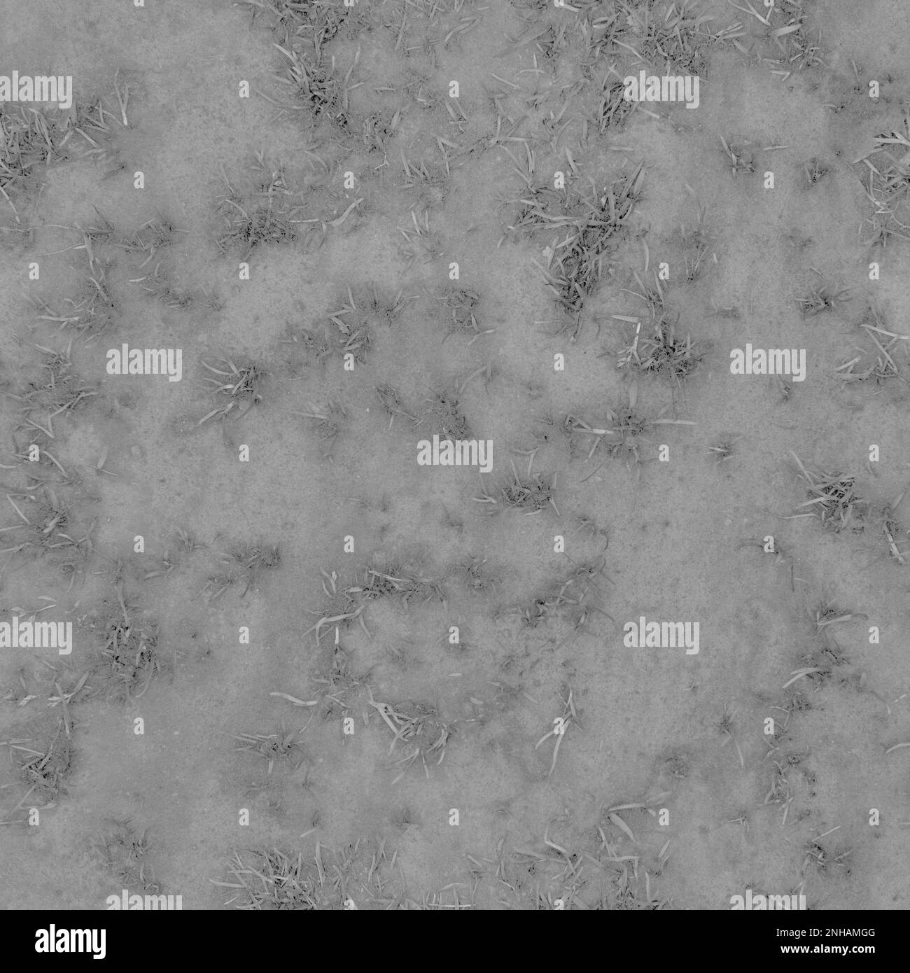 Mappatura lucida cemento ruvido immagini e fotografie stock ad alta risoluzione - Alamy