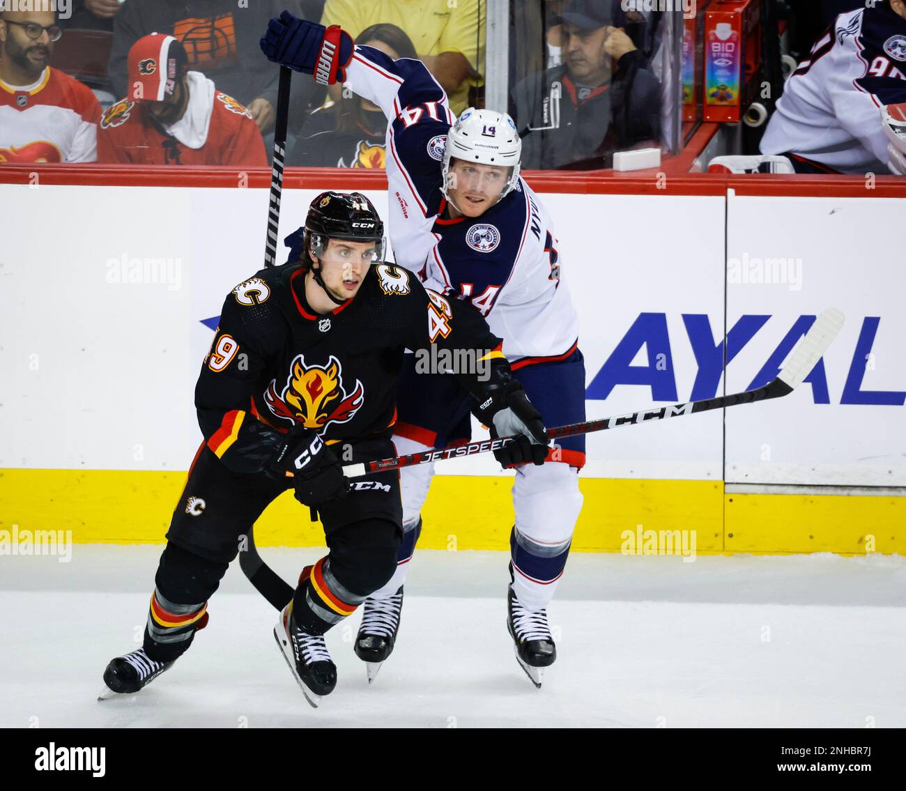 Columbus Blue Jackets forward Gustav Nyquist, right, and Calgary Flames ...