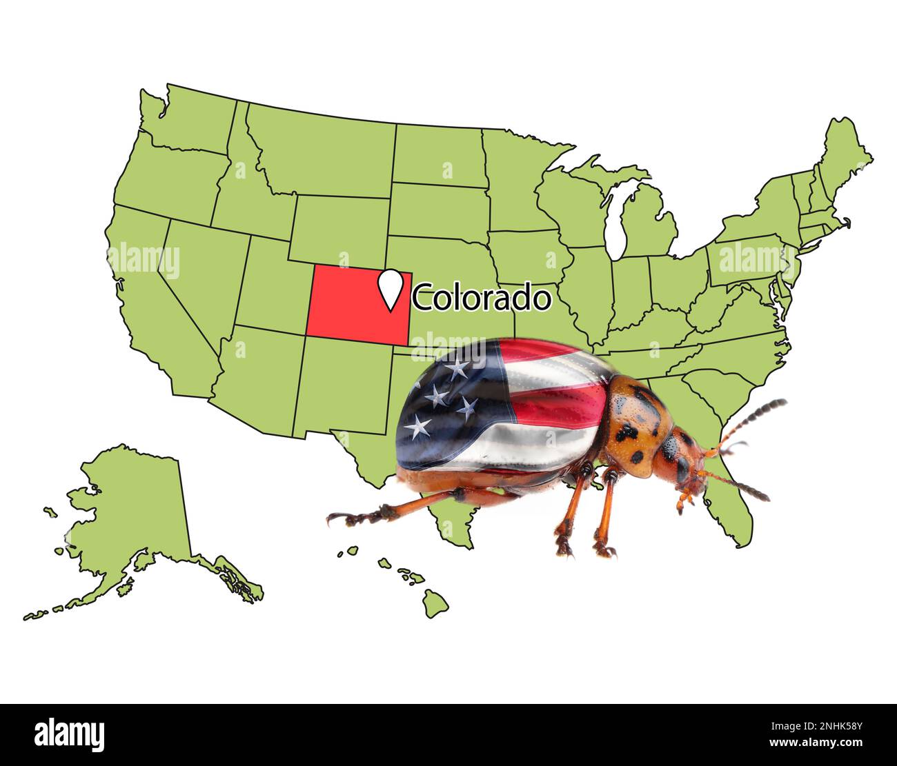Mappa dello stato degli stati uniti Immagini senza sfondo e Foto Stock ...