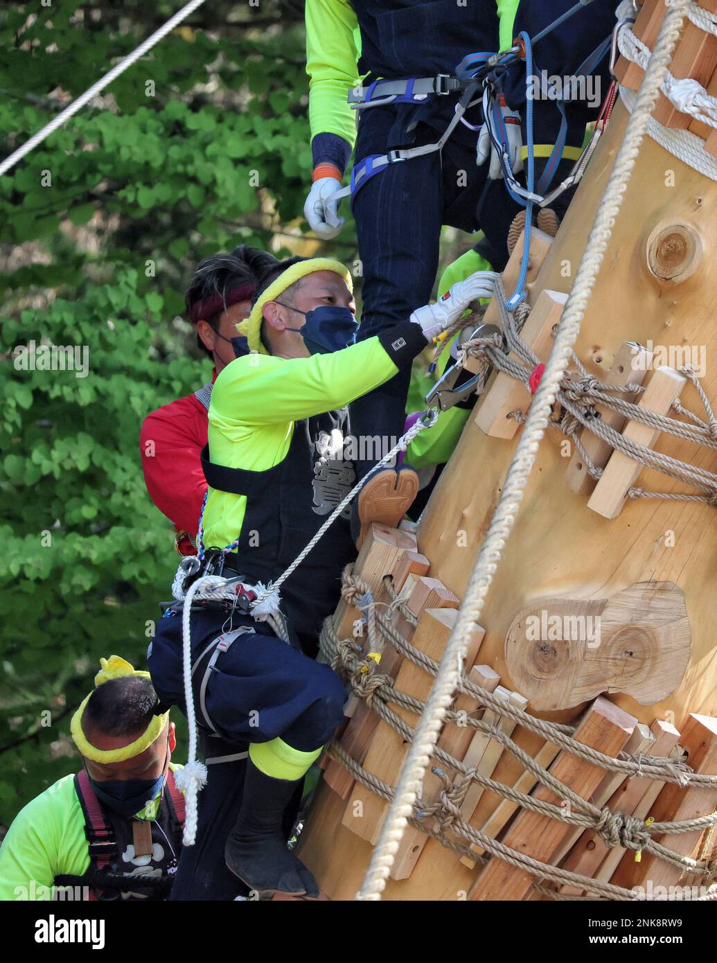 Parishioners of Suwa Shrine ride a huge tree for Onbashira Matsuri ...