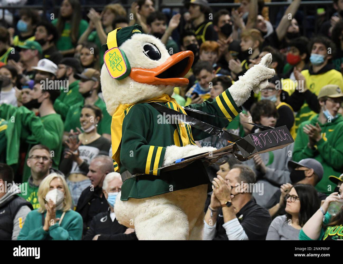 EUGENE, OR - FEBRUARY 24: The Oregon Ducks mascot stirs the crowd ...