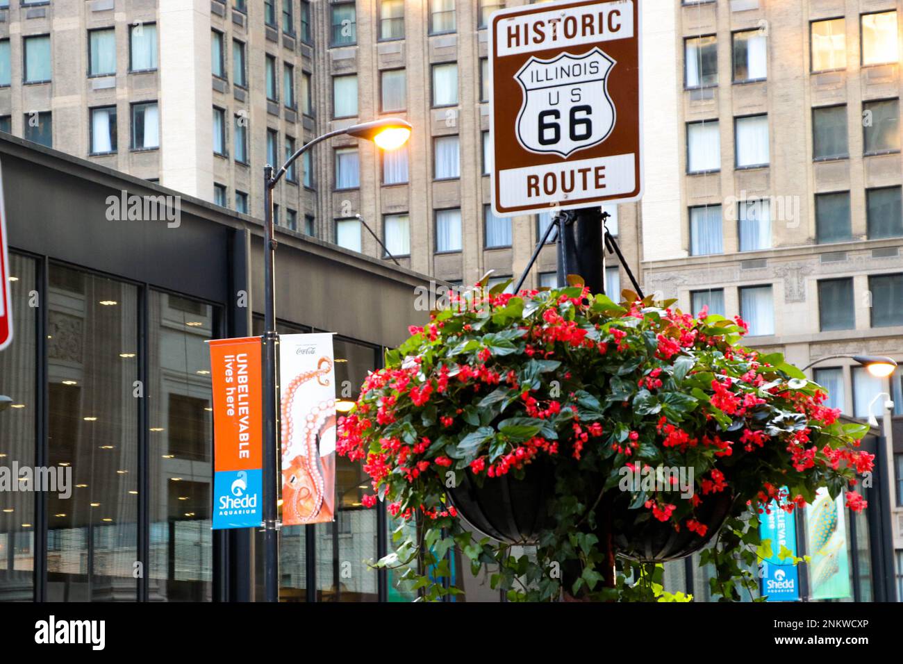 Chicago ilinois immagini e fotografie stock ad alta risoluzione - Alamy