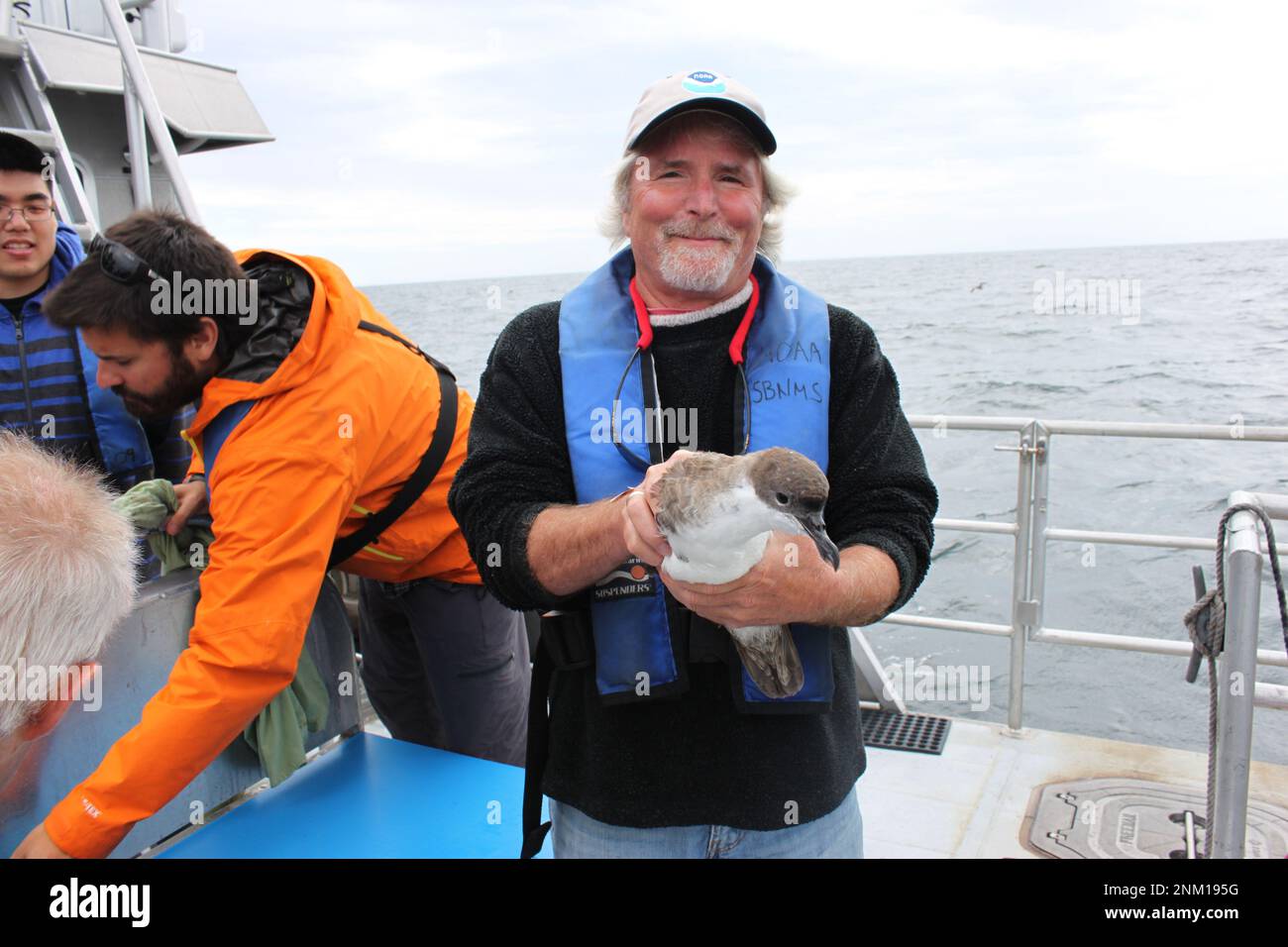 Il dottor david wiley immagini e fotografie stock ad alta risoluzione ...