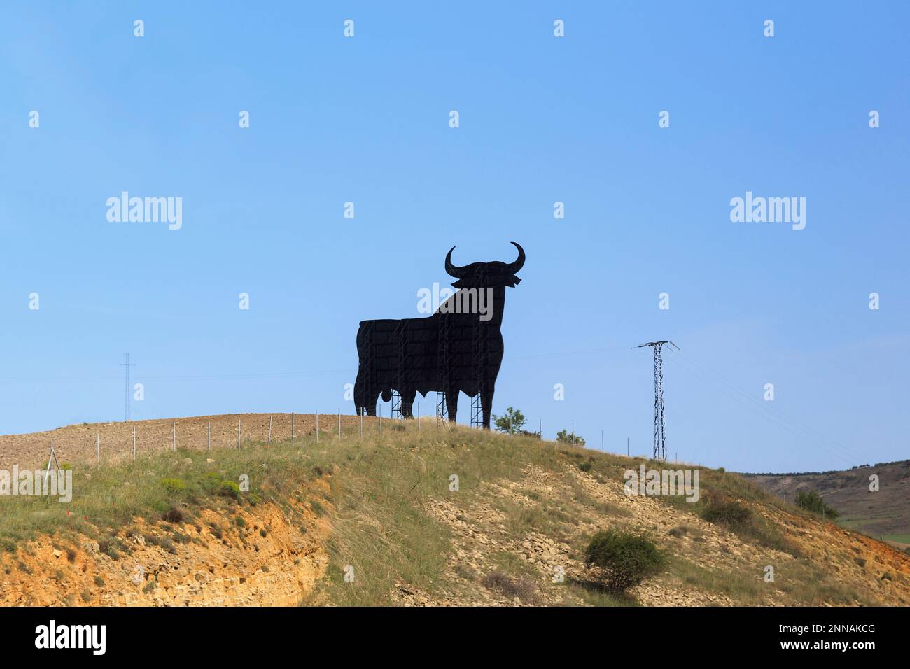 Simbolo del toro immagini e fotografie stock ad alta risoluzione - Alamy