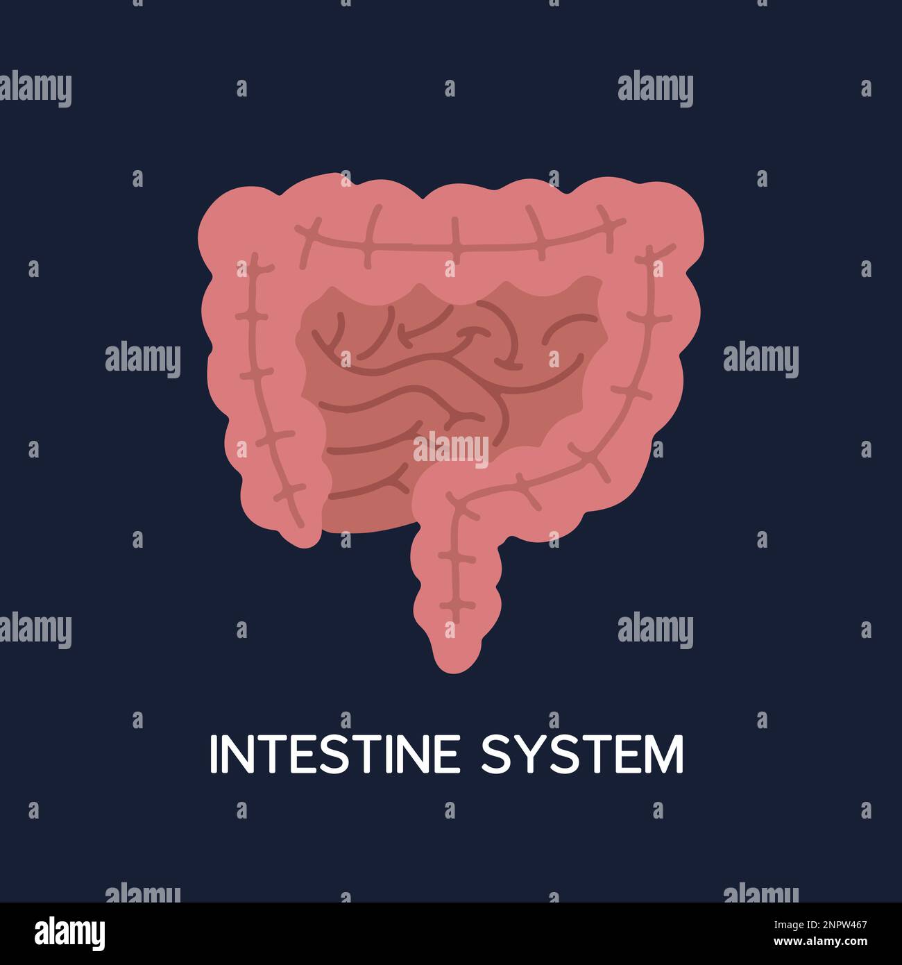 Organi interni umani, anatomia cartoon parte del corpo sistema ...
