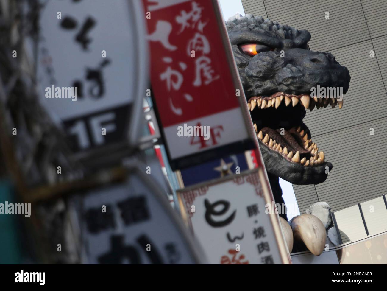 A life-sized Godzilla appears at Kabukichō in Shinjuku Ward, Tokyo on ...