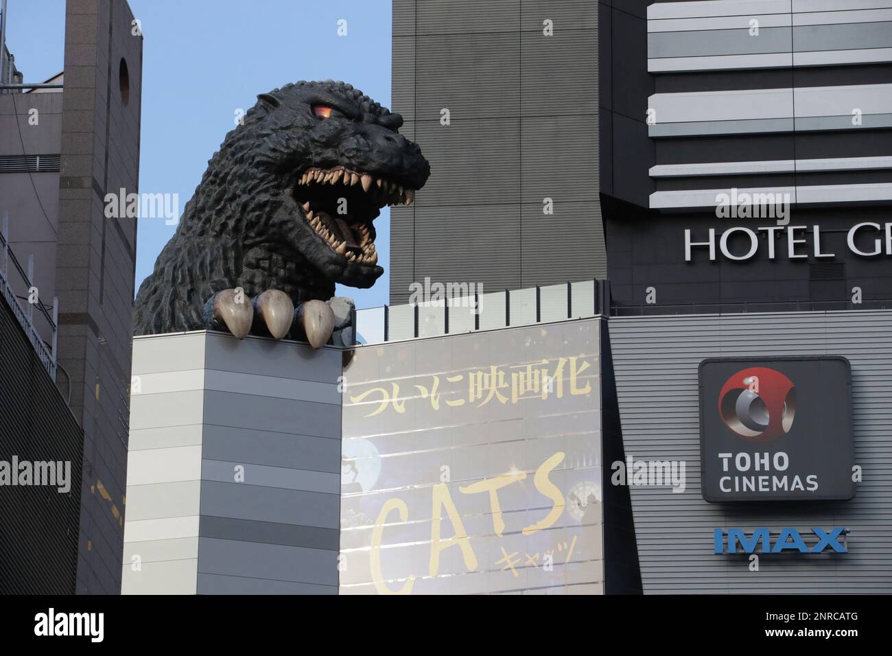 A life-sized Godzilla appears at Kabukichō in Shinjuku Ward, Tokyo on ...