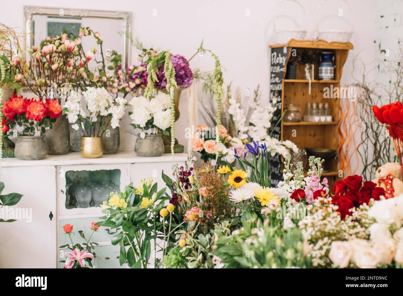 Scatto in atelier immagini e fotografie stock ad alta risoluzione - Alamy