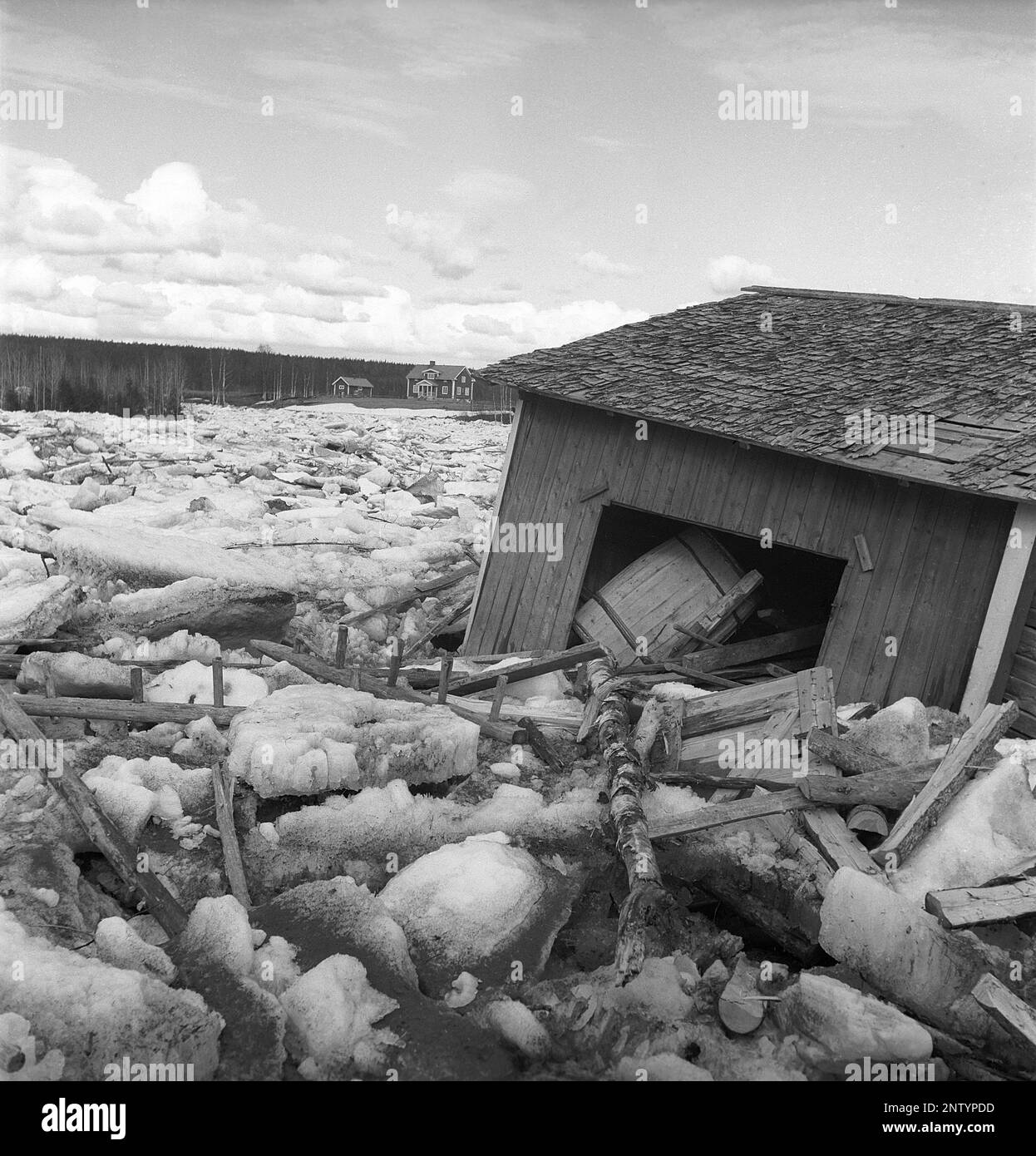Disastro naturale negli anni '1940s. All'inizio dell'estate 20-23 ...