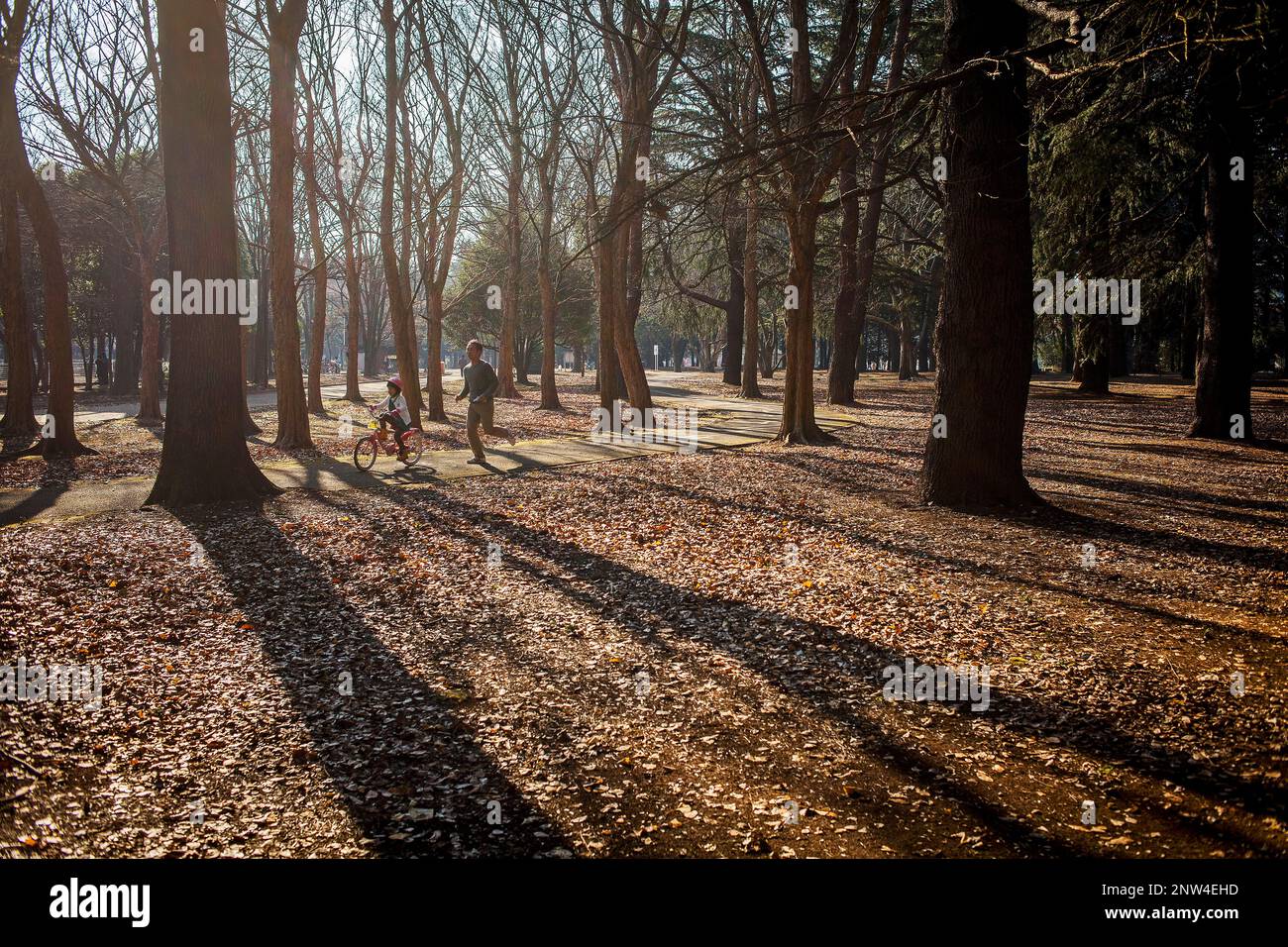 Japan tokyo harajuku yoyogi koen immagini e fotografie stock ad alta ...