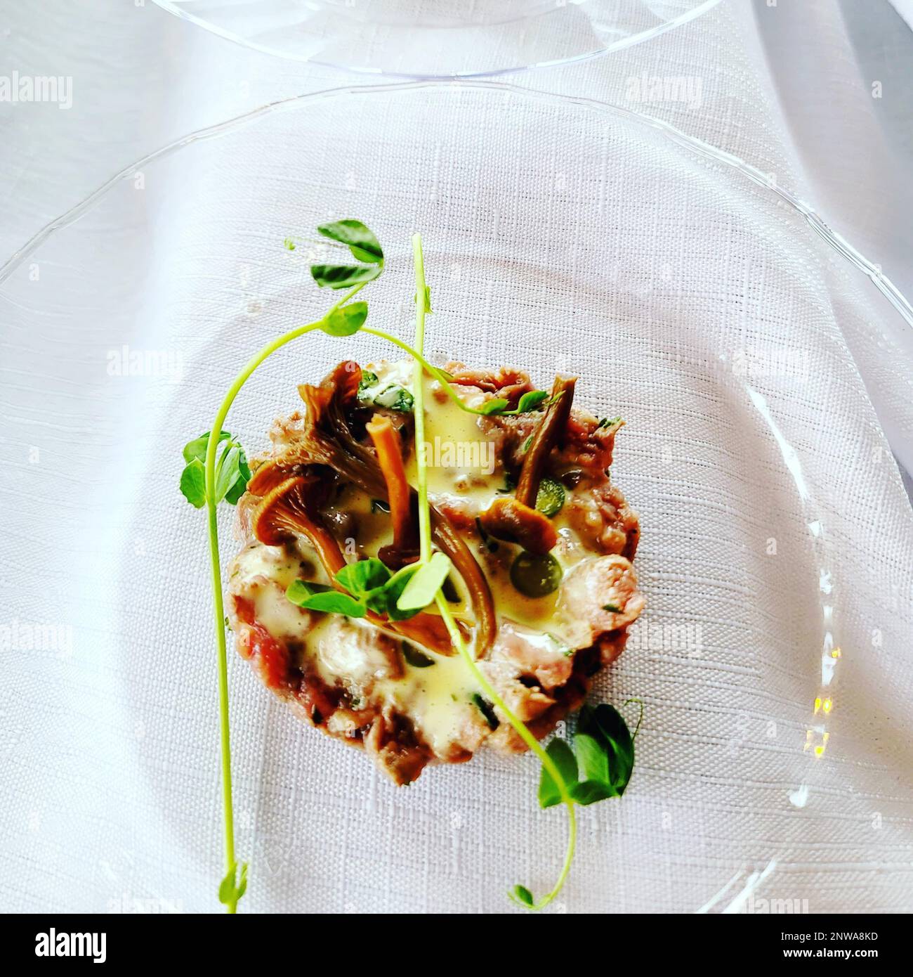 Tartare di manzo con funghi finferli sottaceto di foraggio locale ...