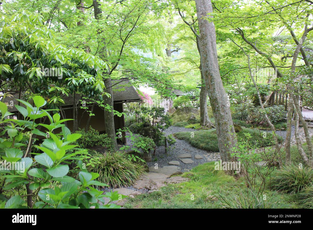 Gora park hakone immagini e fotografie stock ad alta risoluzione - Alamy