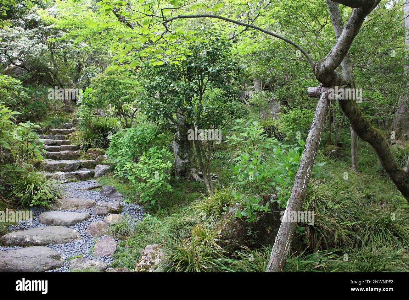 Gora park hakone immagini e fotografie stock ad alta risoluzione - Alamy