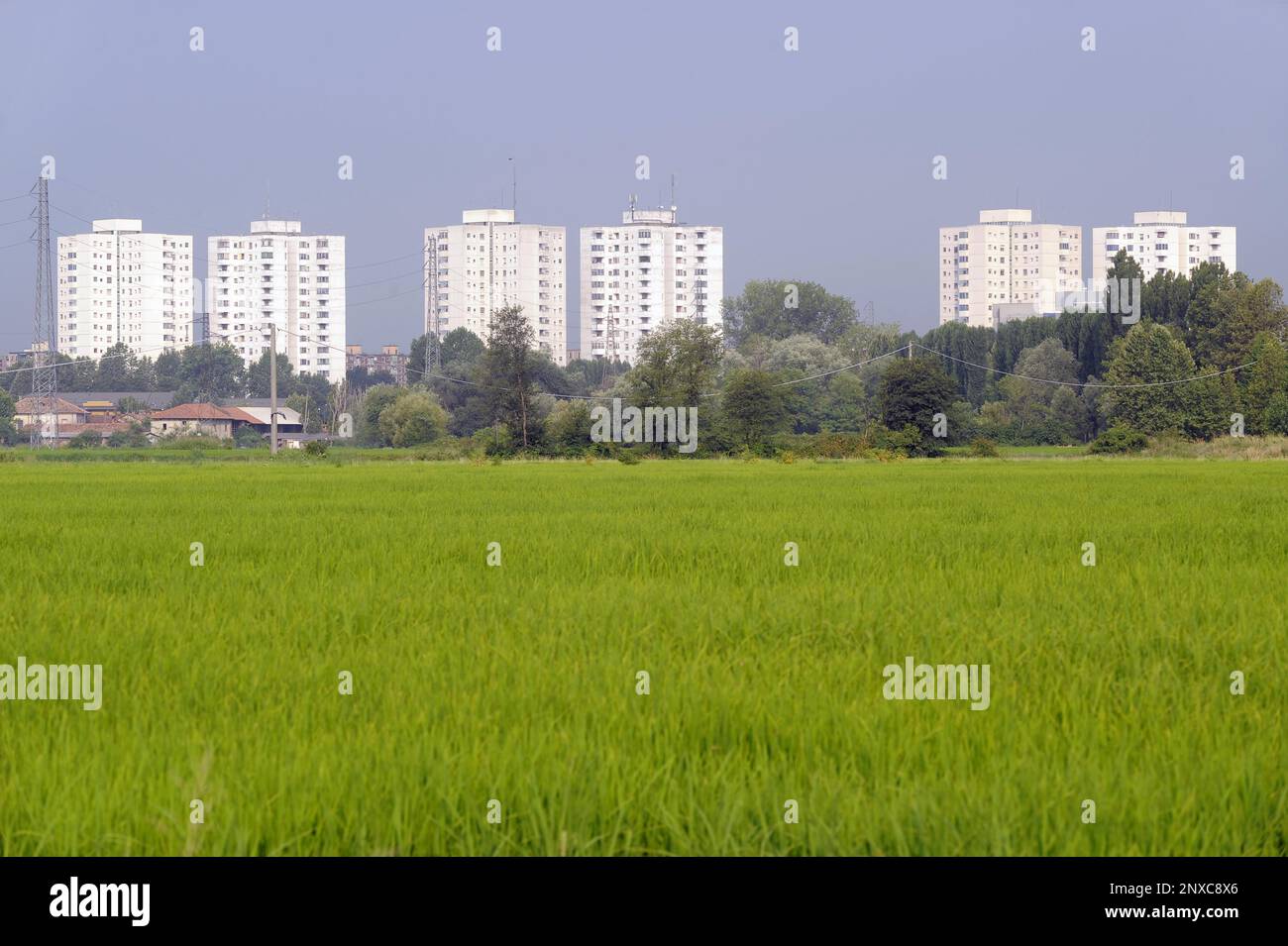 Parco agricolo di Milano Sud, sullo sfondo quartieri residenziali ...