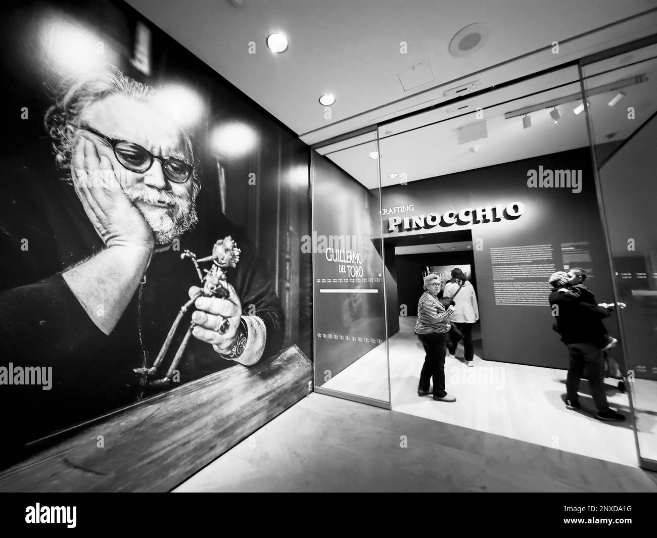 Sebastian j cricket immagini e fotografie stock ad alta risoluzione - Alamy