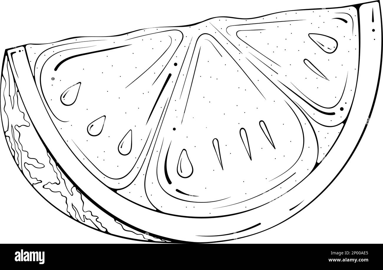Fetta di anguria disegno da colorare immagini e fotografie stock ad ...