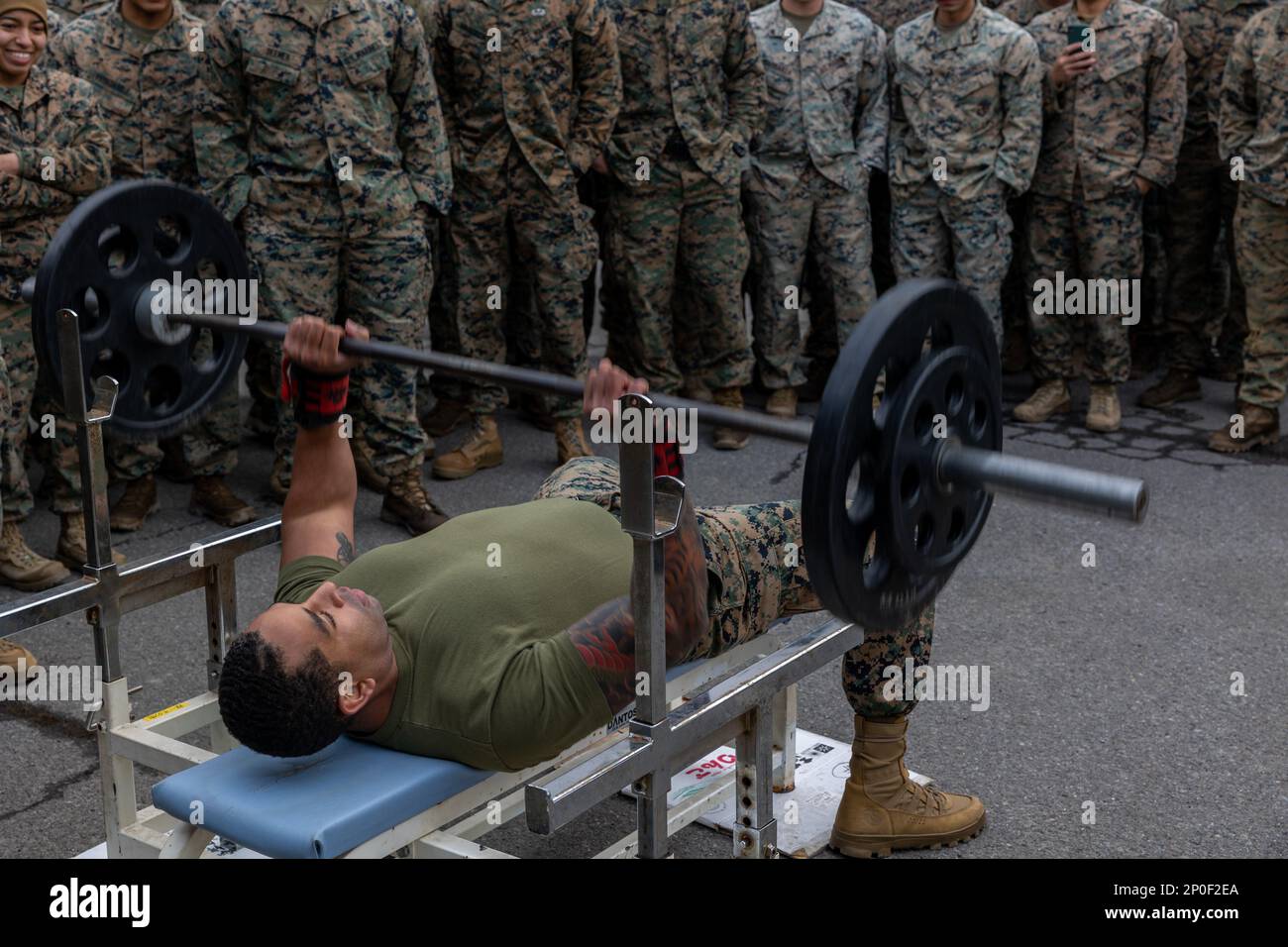 Incoraggiare il cameratismo tra le unità immagini e fotografie stock ad ...