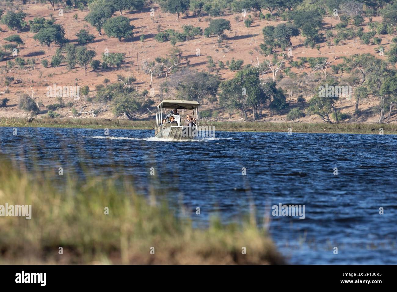 Safari in barca in botswana immagini e fotografie stock ad alta ...