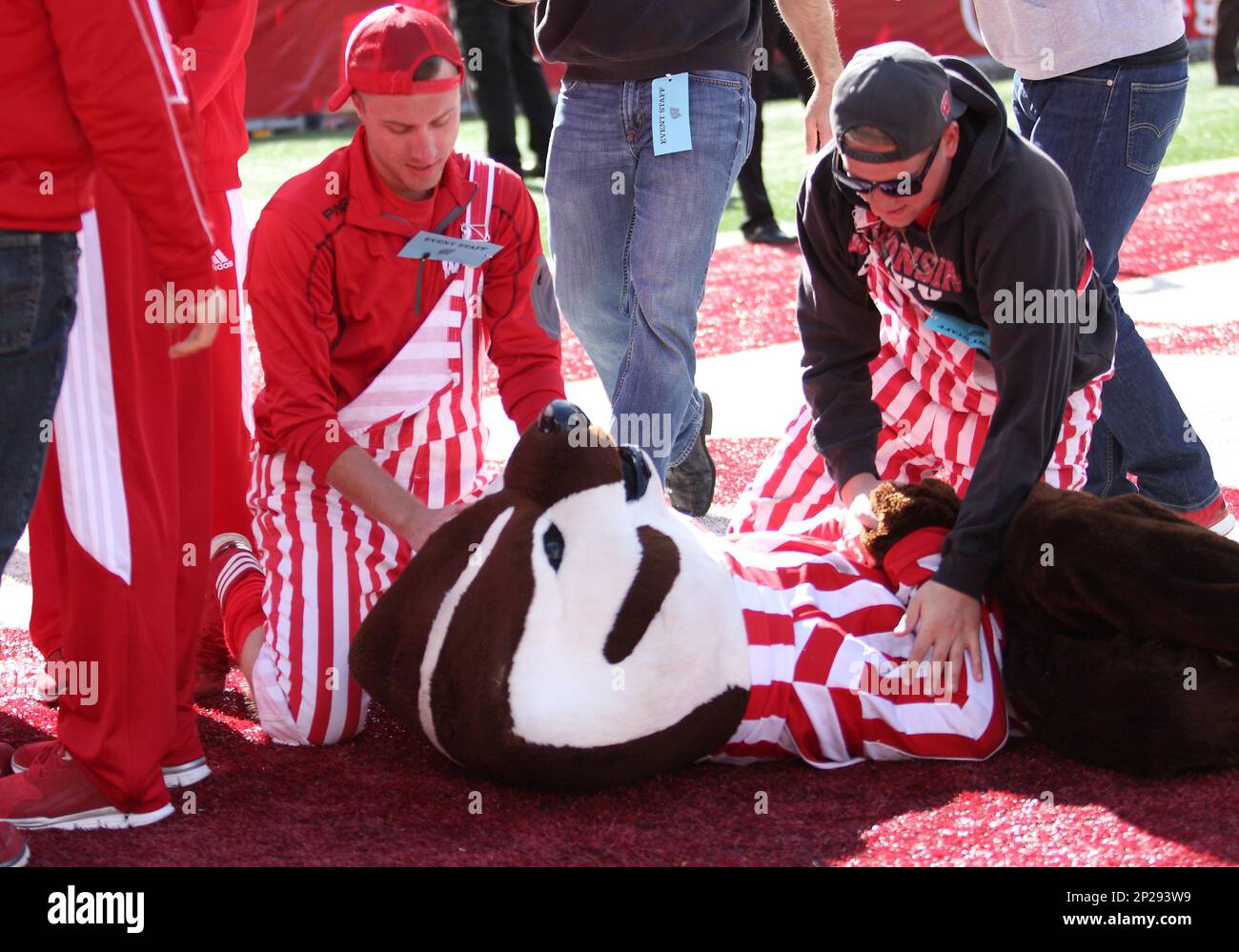 17 October 2015: Bucky Badger gets extra attention in the end zone ...