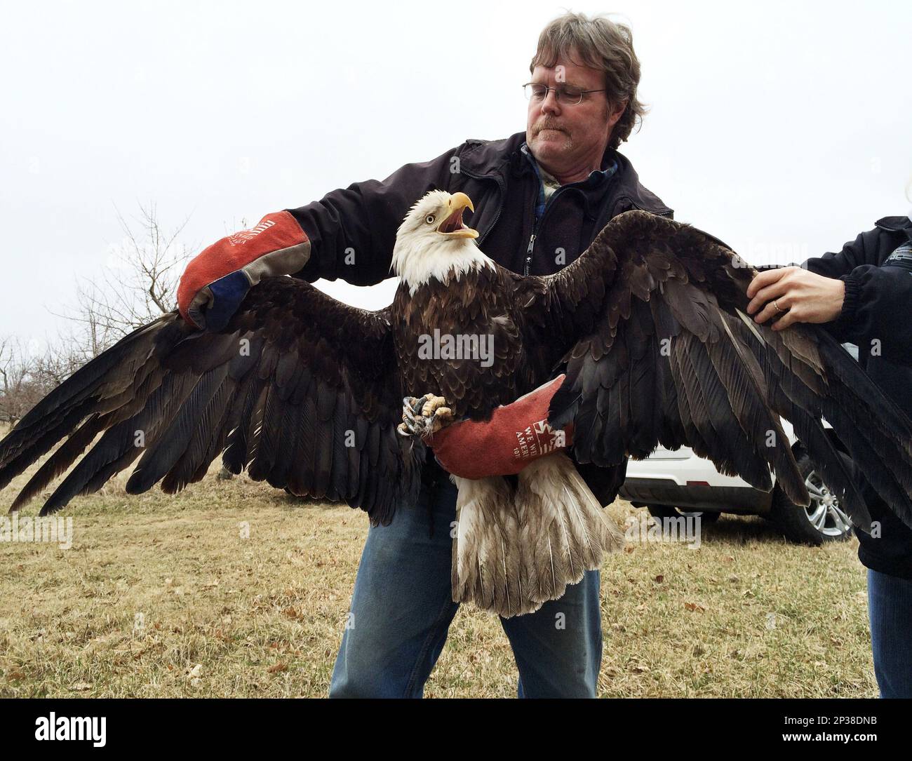 Clayton Township resident Bruce Beatty, a licensed bird of prey ...