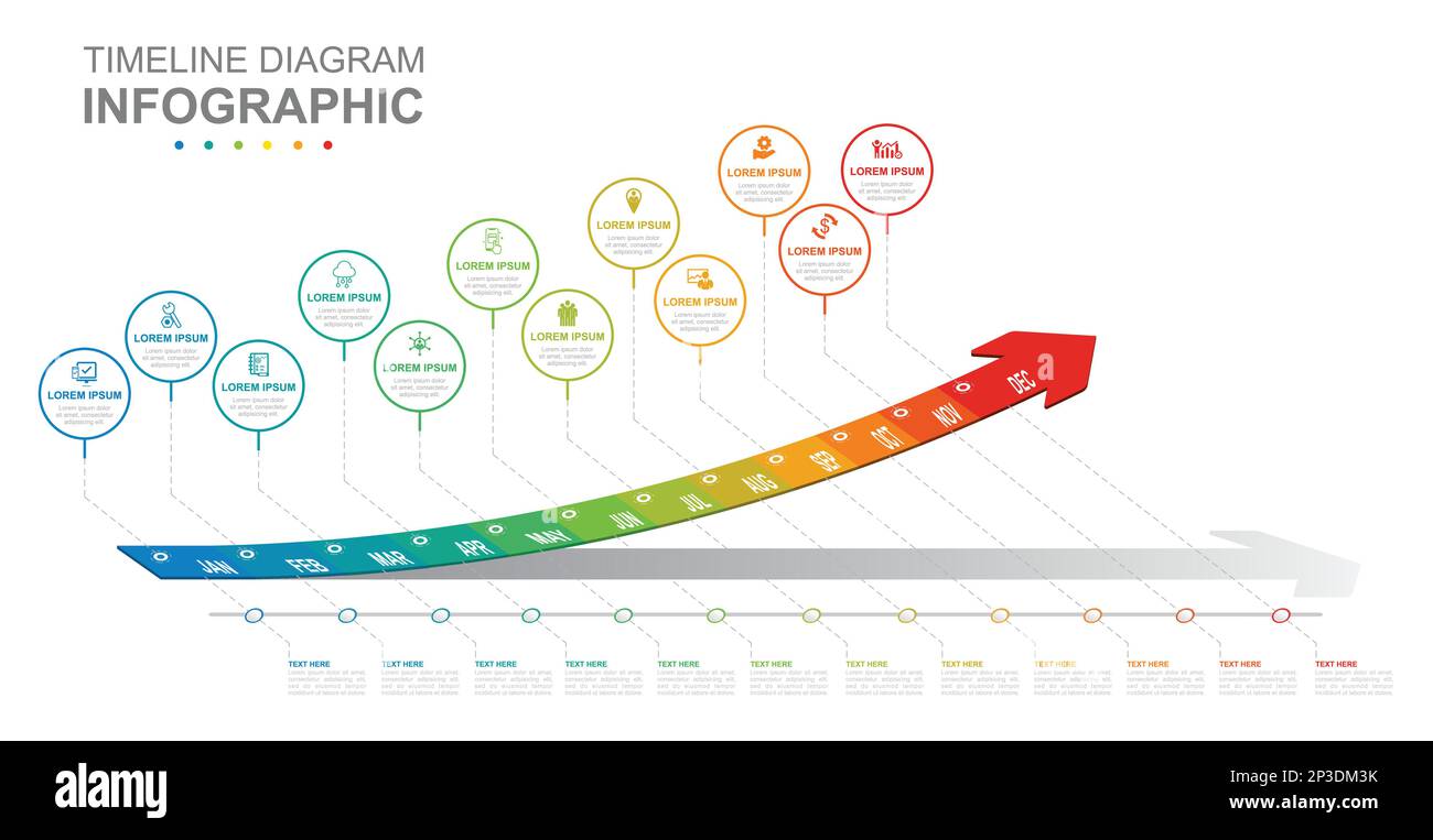 Modello aziendale infografico. 12 mesi Calendario del diagramma della ...