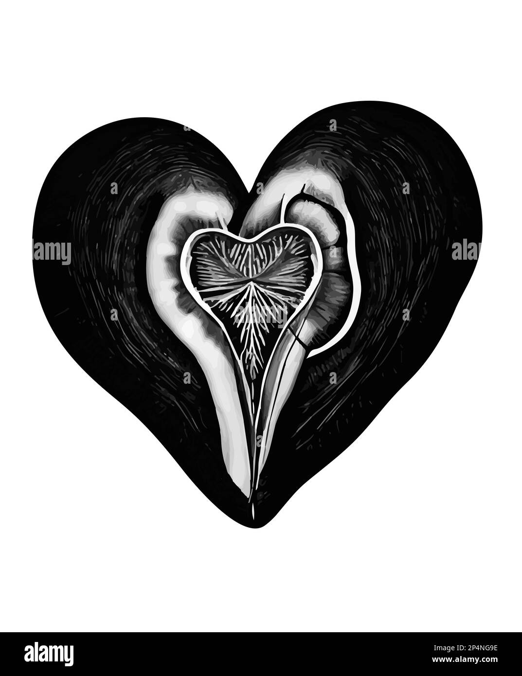 Cuore ecg Foto e Immagini Stock in Bianco e Nero - Alamy