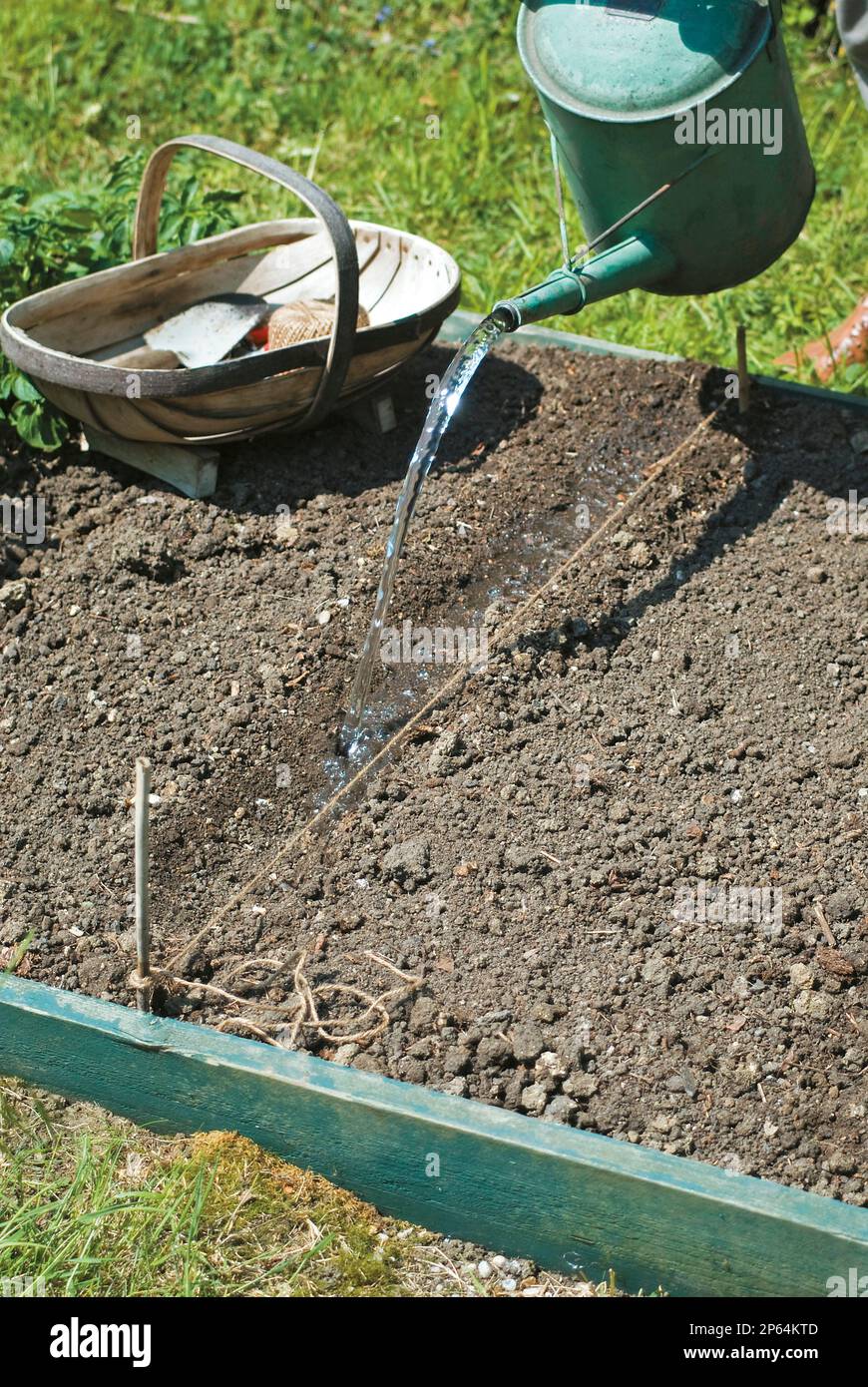 Seed drills immagini e fotografie stock ad alta risoluzione - Alamy