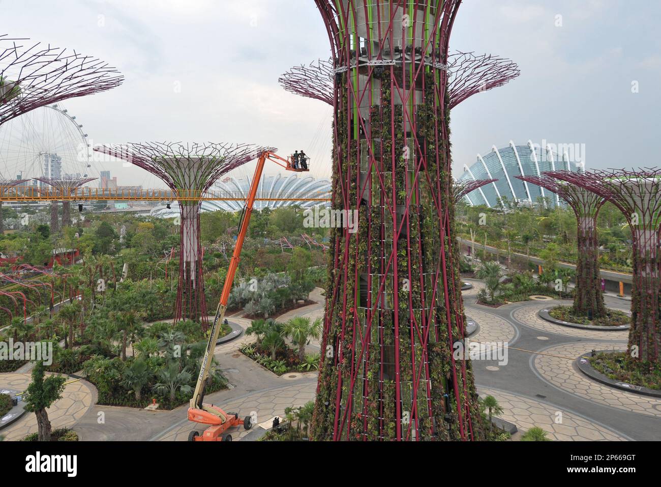 A panoramic view of the Supertrees at the Gardens By The Bay, Bay South ...